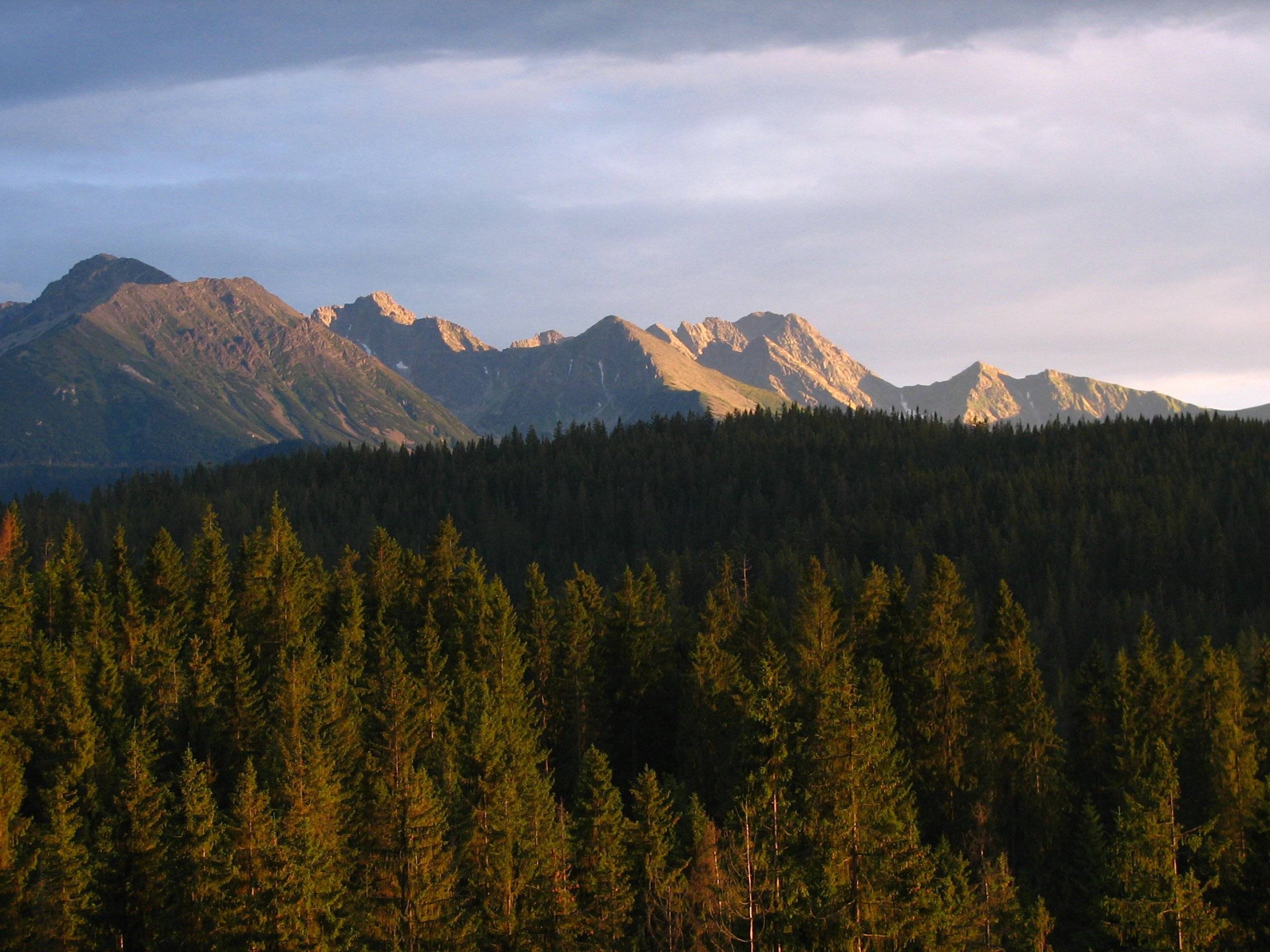 Bukowina Tatrzanska, Małopolska, Polska, największa baza ofert...