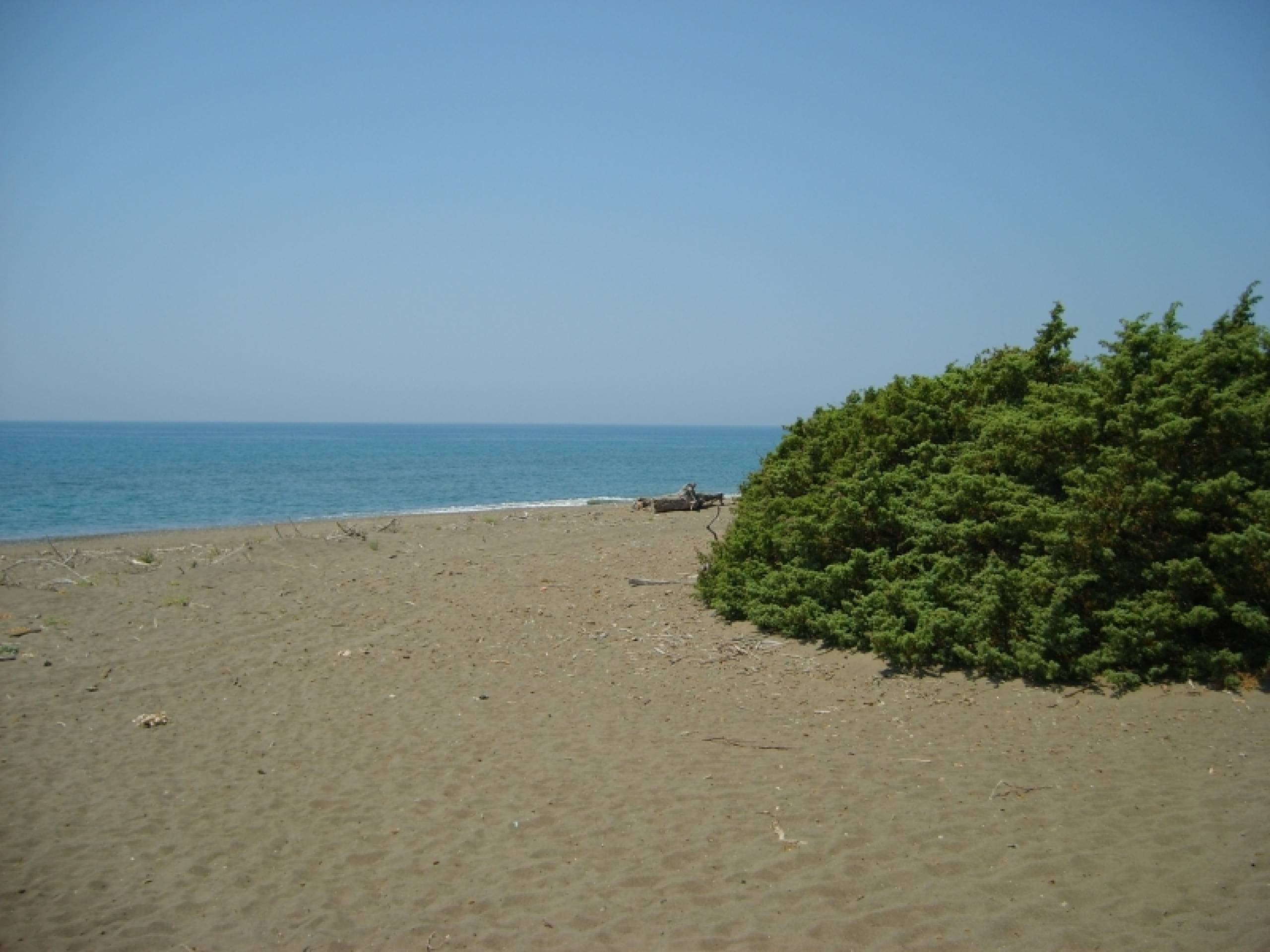 Dodaj opinie o miejscowości: Cecina » Toskania » Włochy