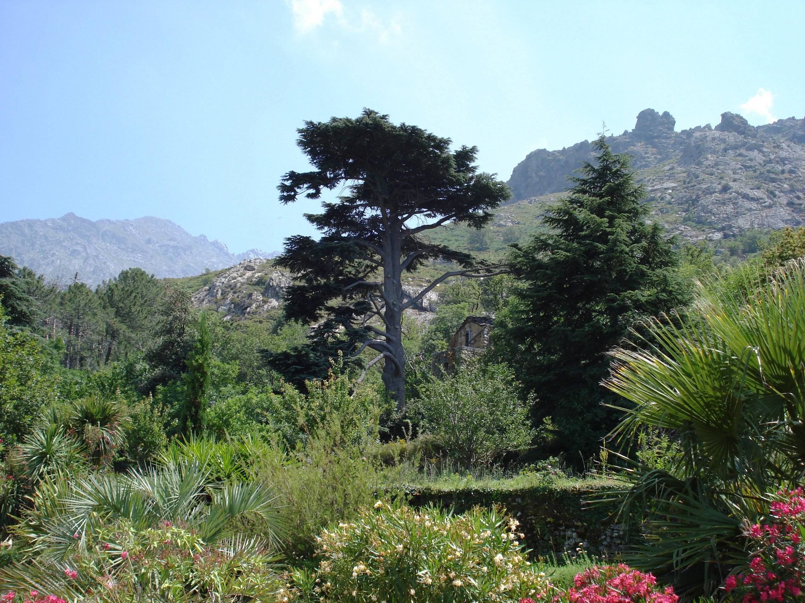 Lucciana, Riwiera Śródziem. & Korsyka, Francja, największa...
