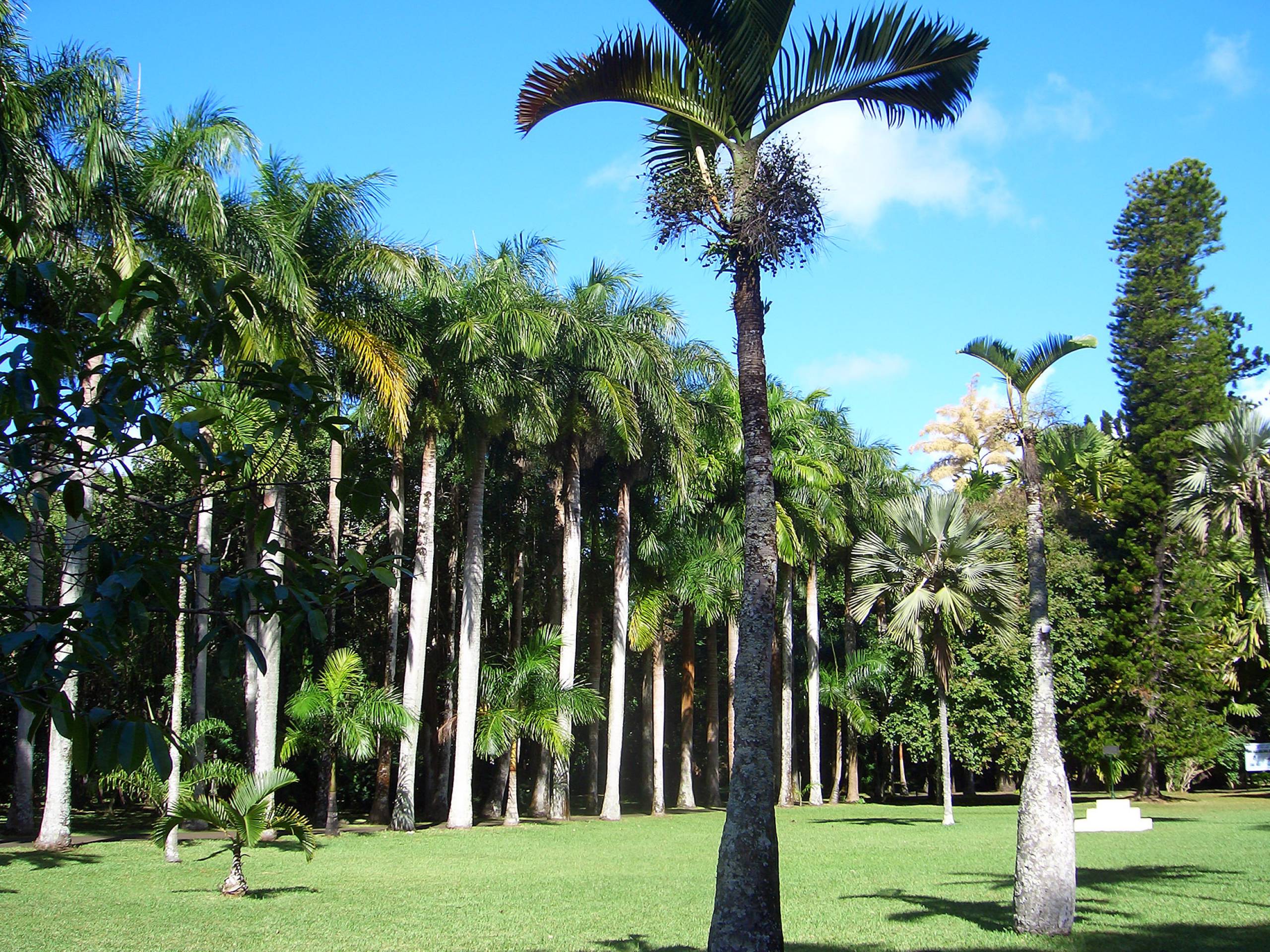 Mapou, Wybrzeże Północne, Mauritius, największa baza ofert...