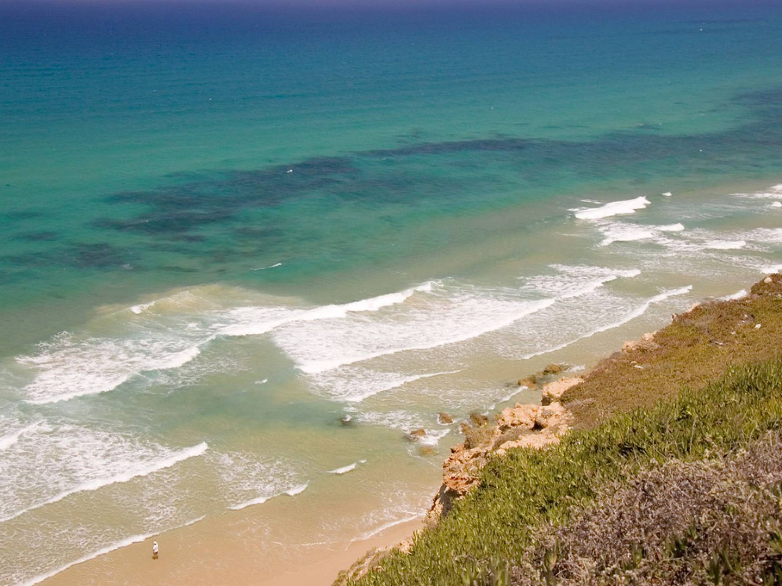 Netania, Dystrykt Centralny, Izrael, największa baza ofert...