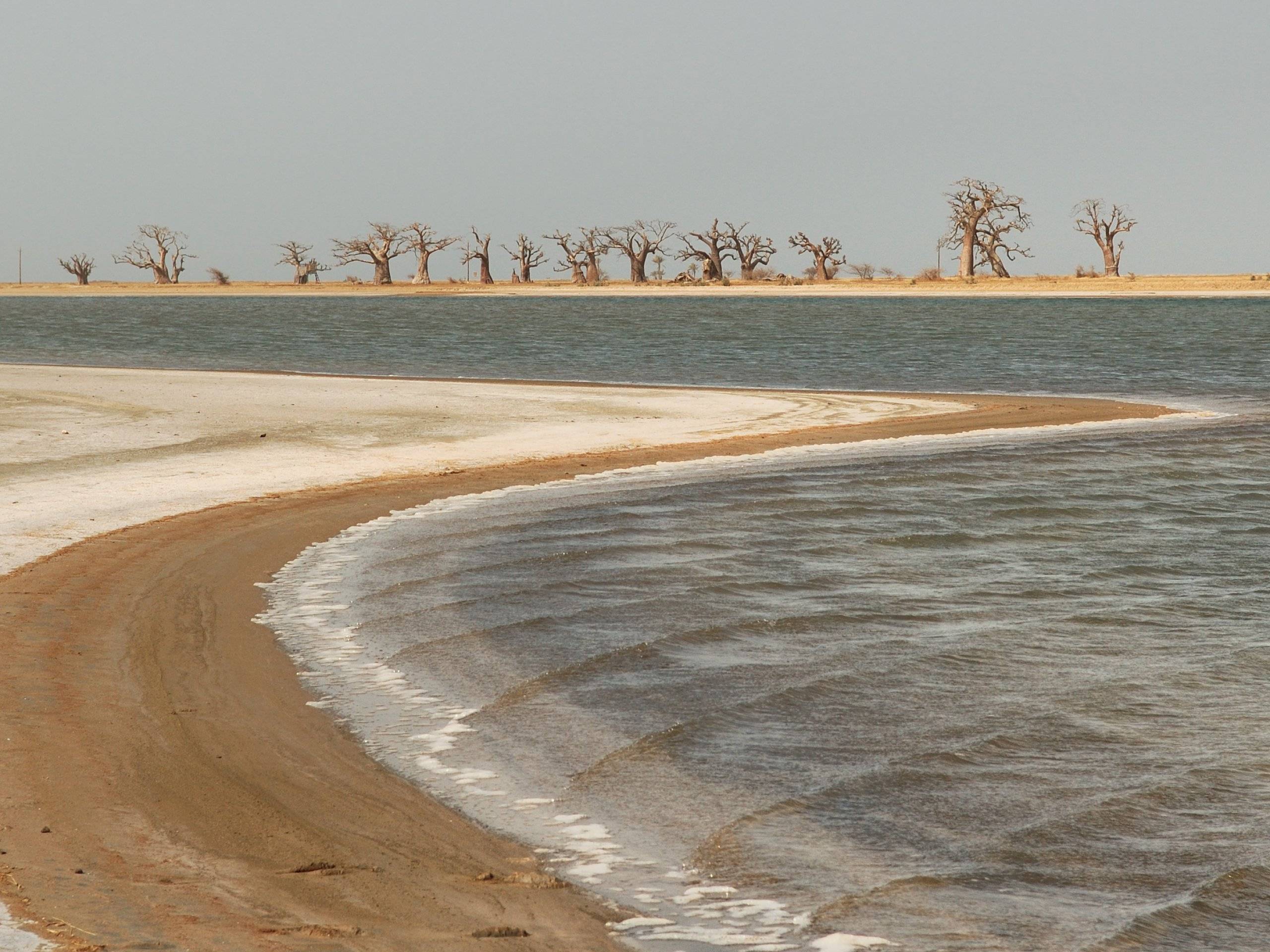 Palmarin, Region Palmarin, Senegal, największa baza ofert LAST...