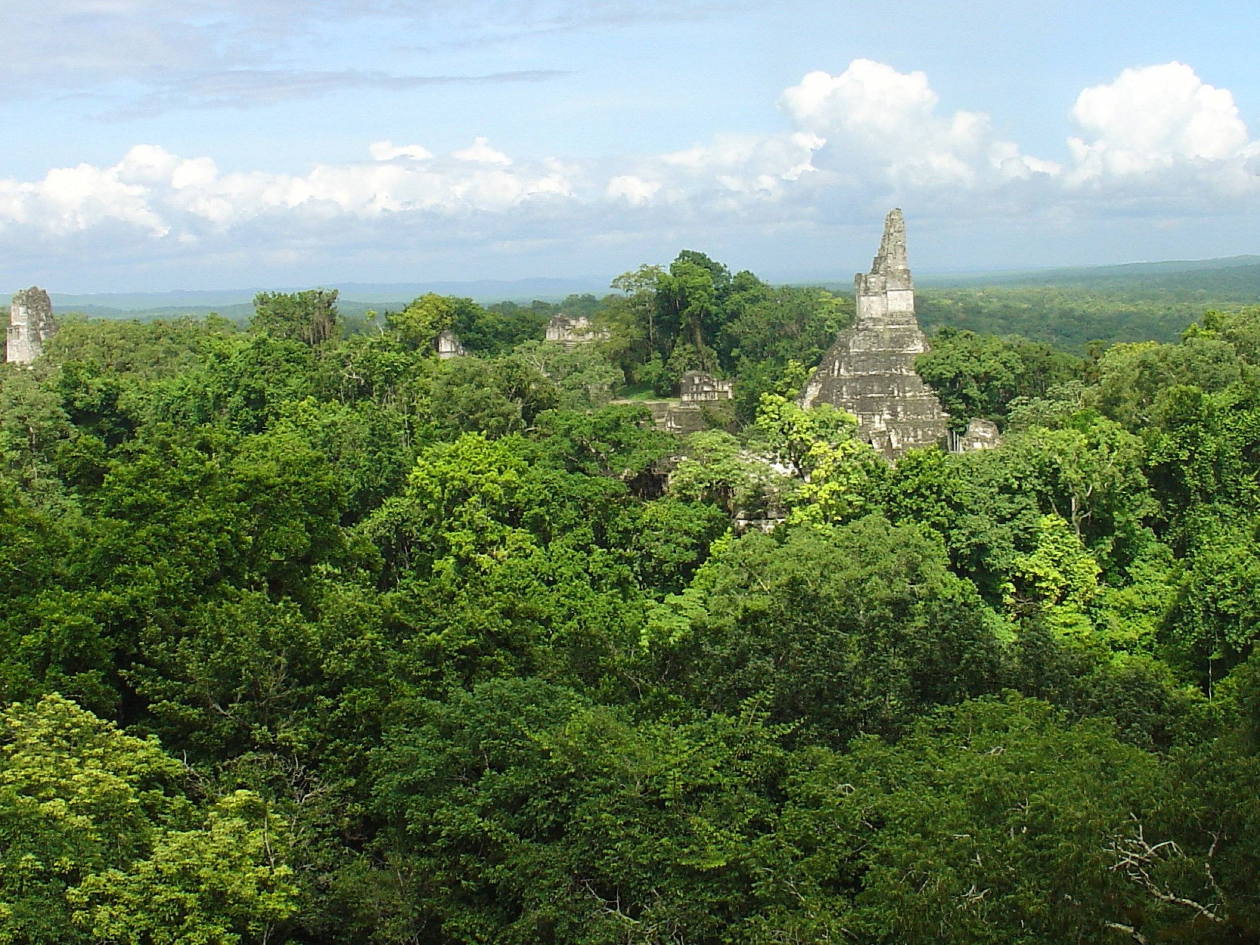 Tical, Departament El Peten, Gwatemala, największa baza ofert...