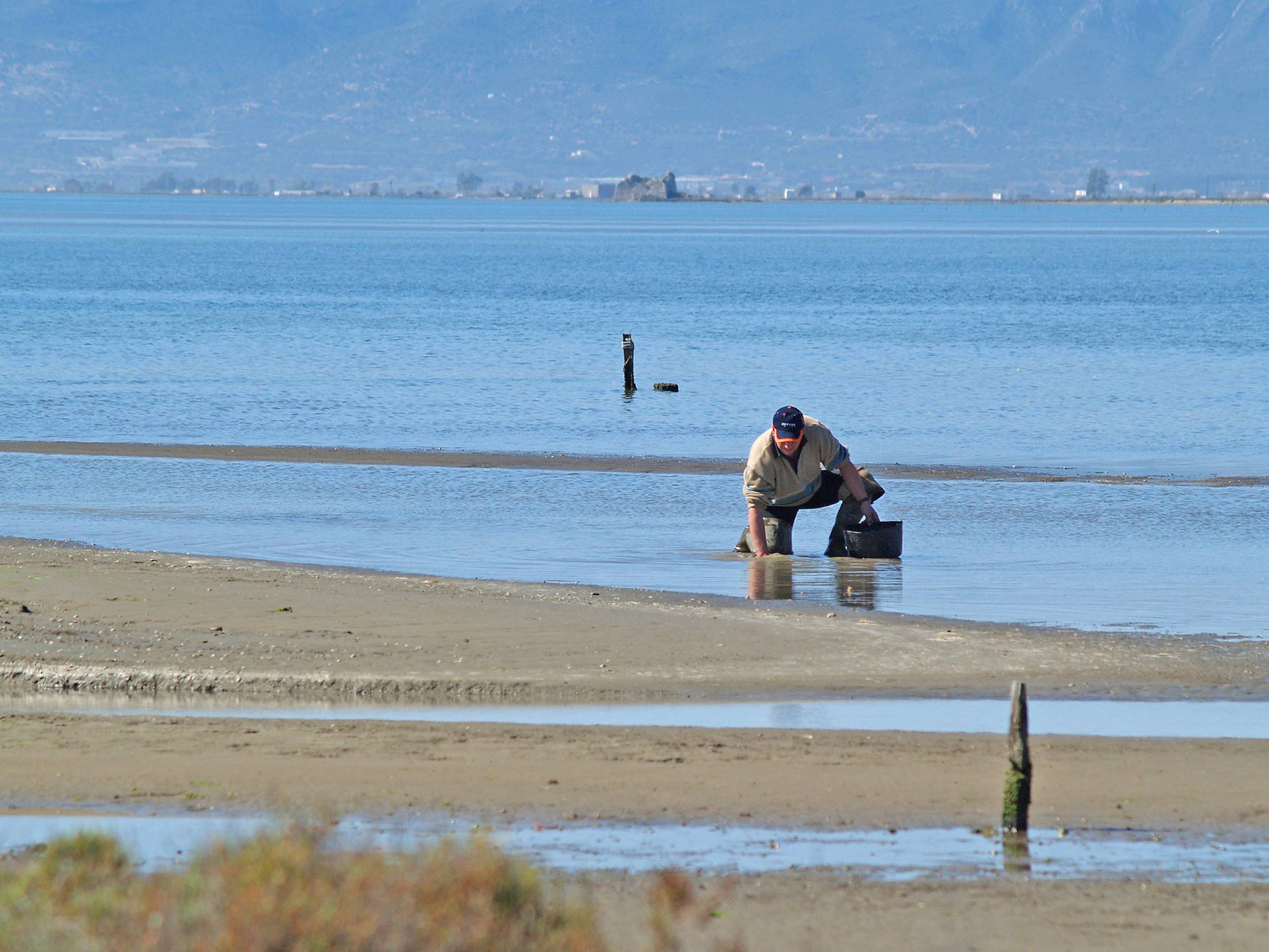 Deltebre, Costa Brava, Hiszpania, największa baza ofert LAST...