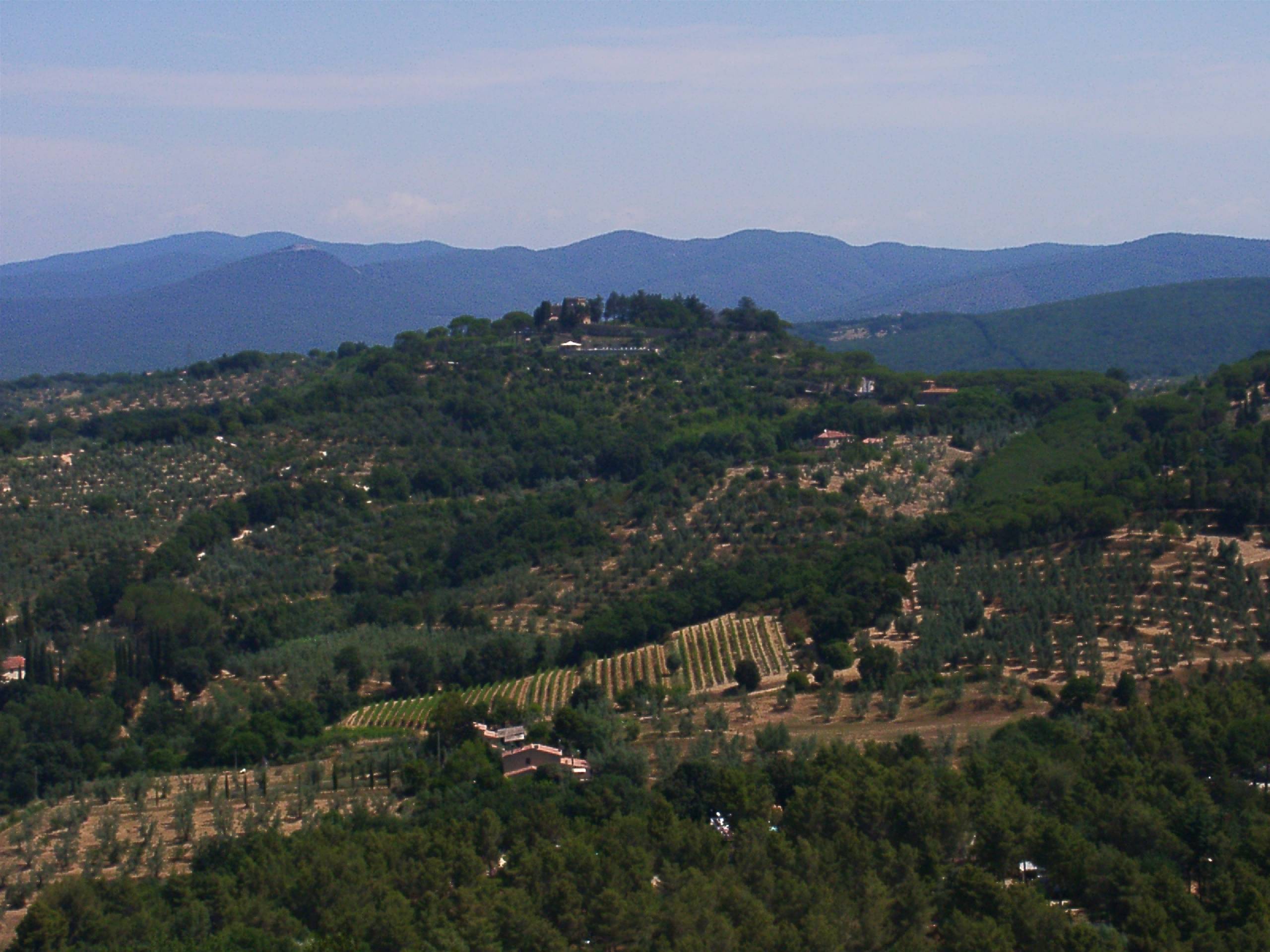 Dodaj opinie o miejscowości: Donoratico » Toskania » Włochy