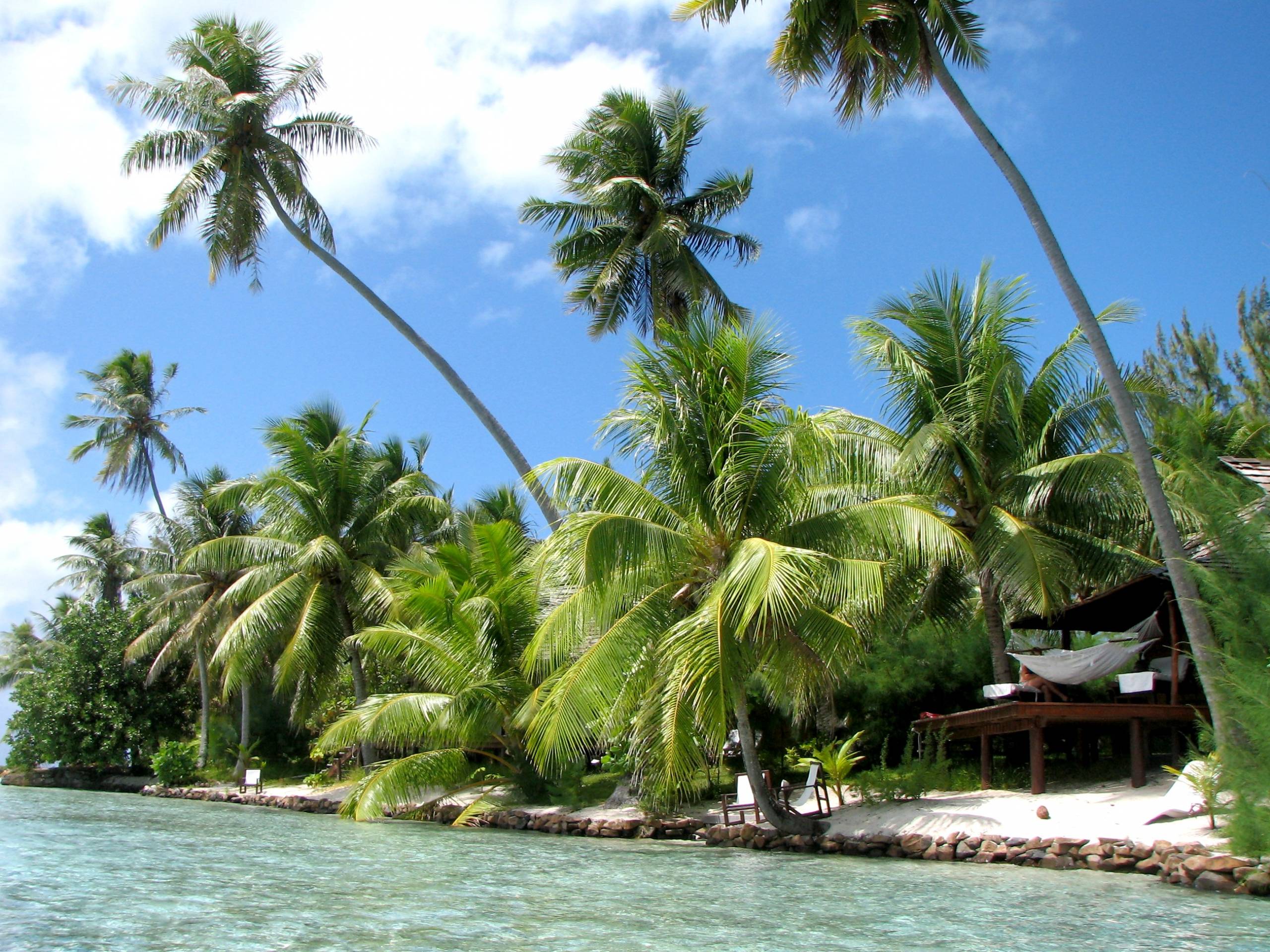 Tahaa, Polinezja Francuska, Oceania, największa baza ofert...