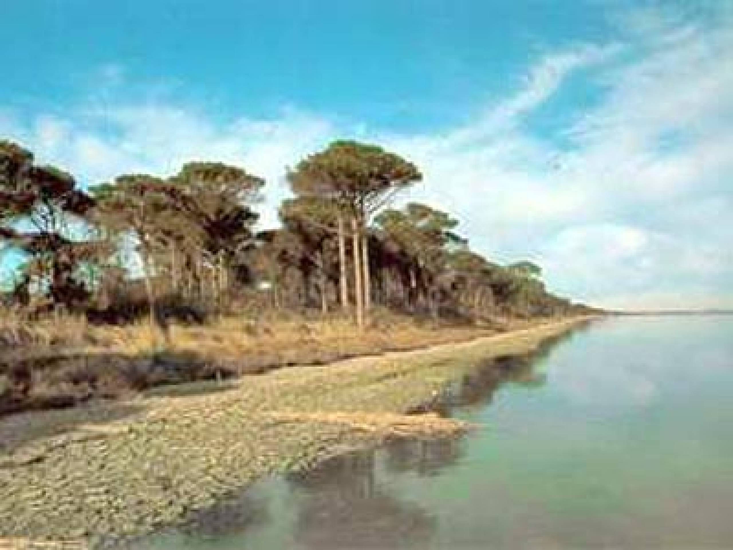 Marina Romea, Riwiera Adriatycka, Włochy, największa baza...