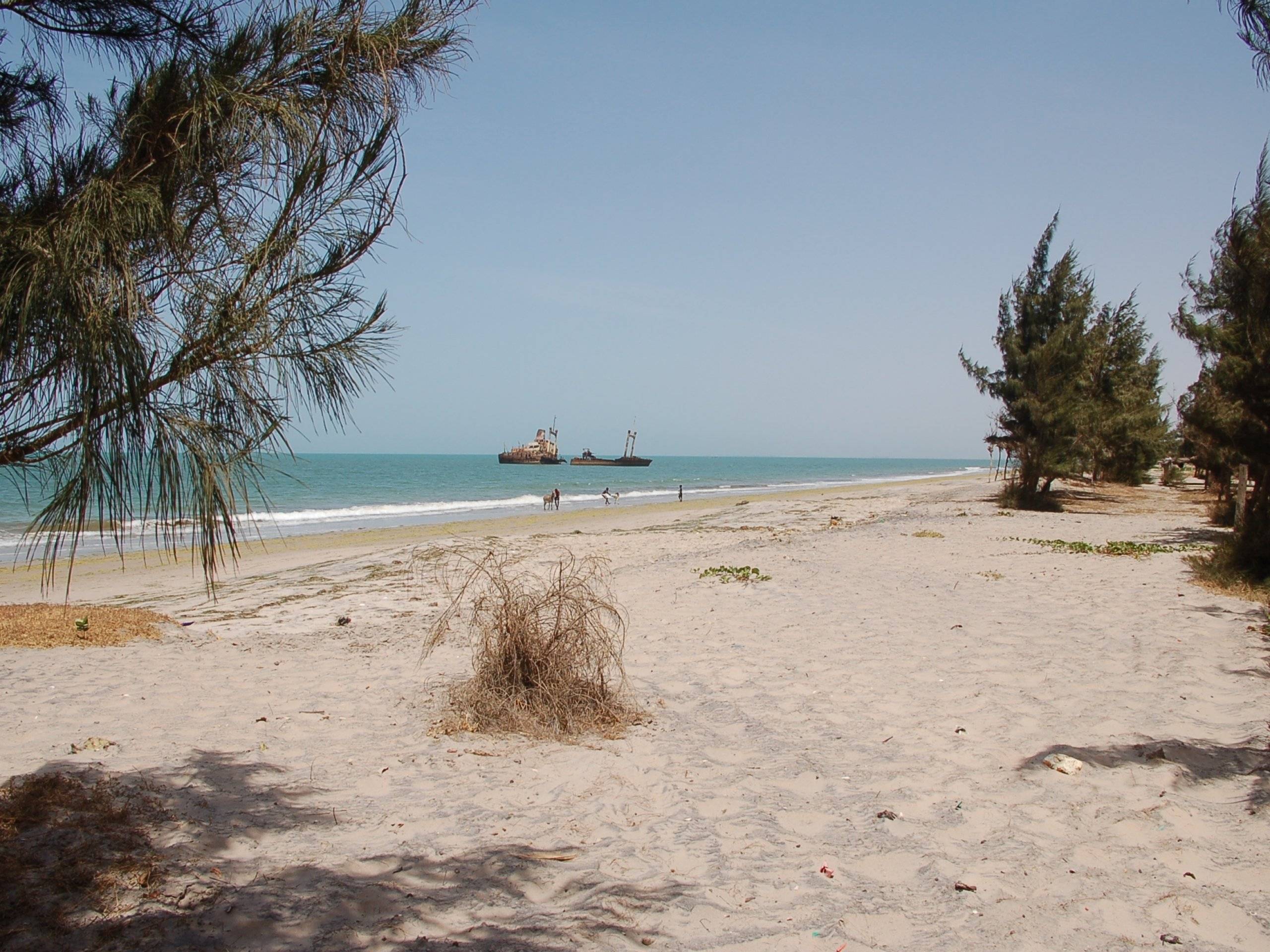 Palmarin, Region Palmarin, Senegal, największa baza ofert LAST...