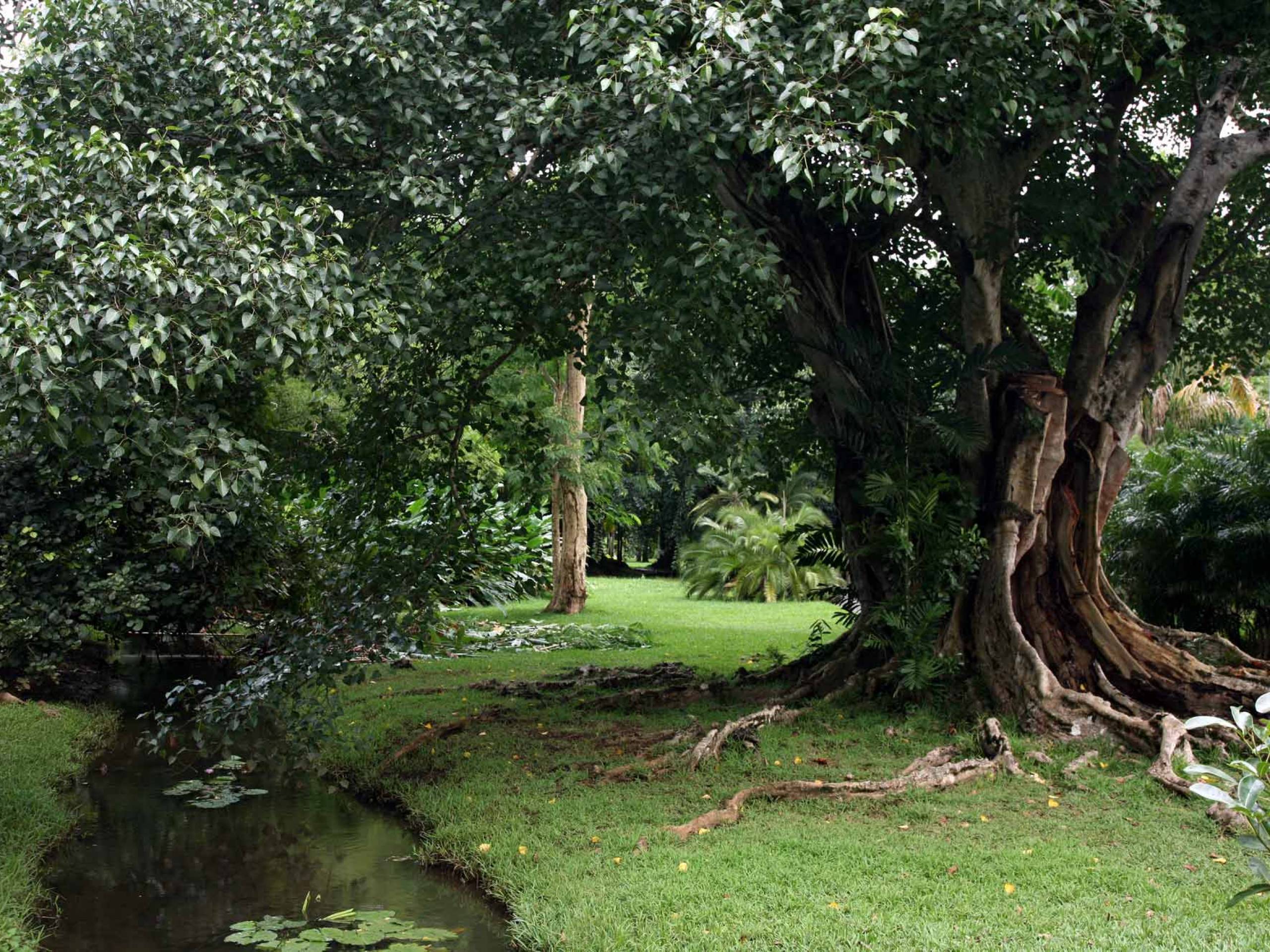 Mapou, Wybrzeże Północne, Mauritius, największa baza ofert...