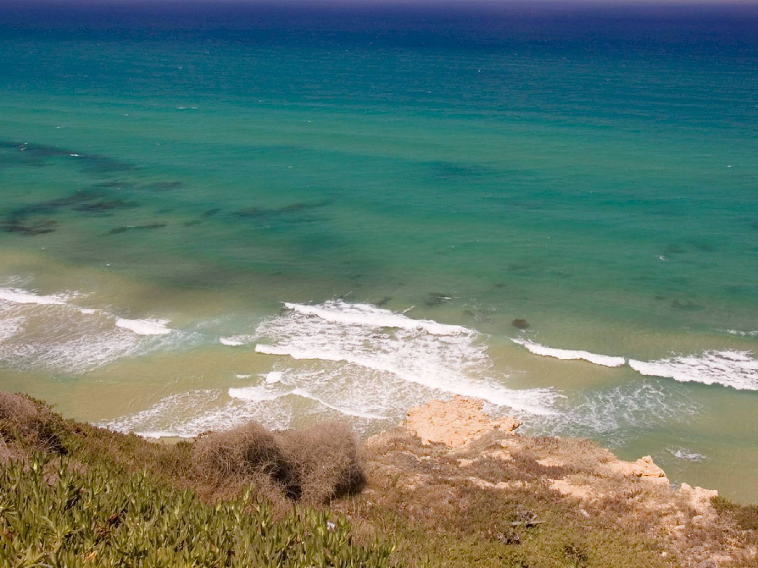 Dodaj opinie o miejscowości: Netania » Dystrykt Centralny