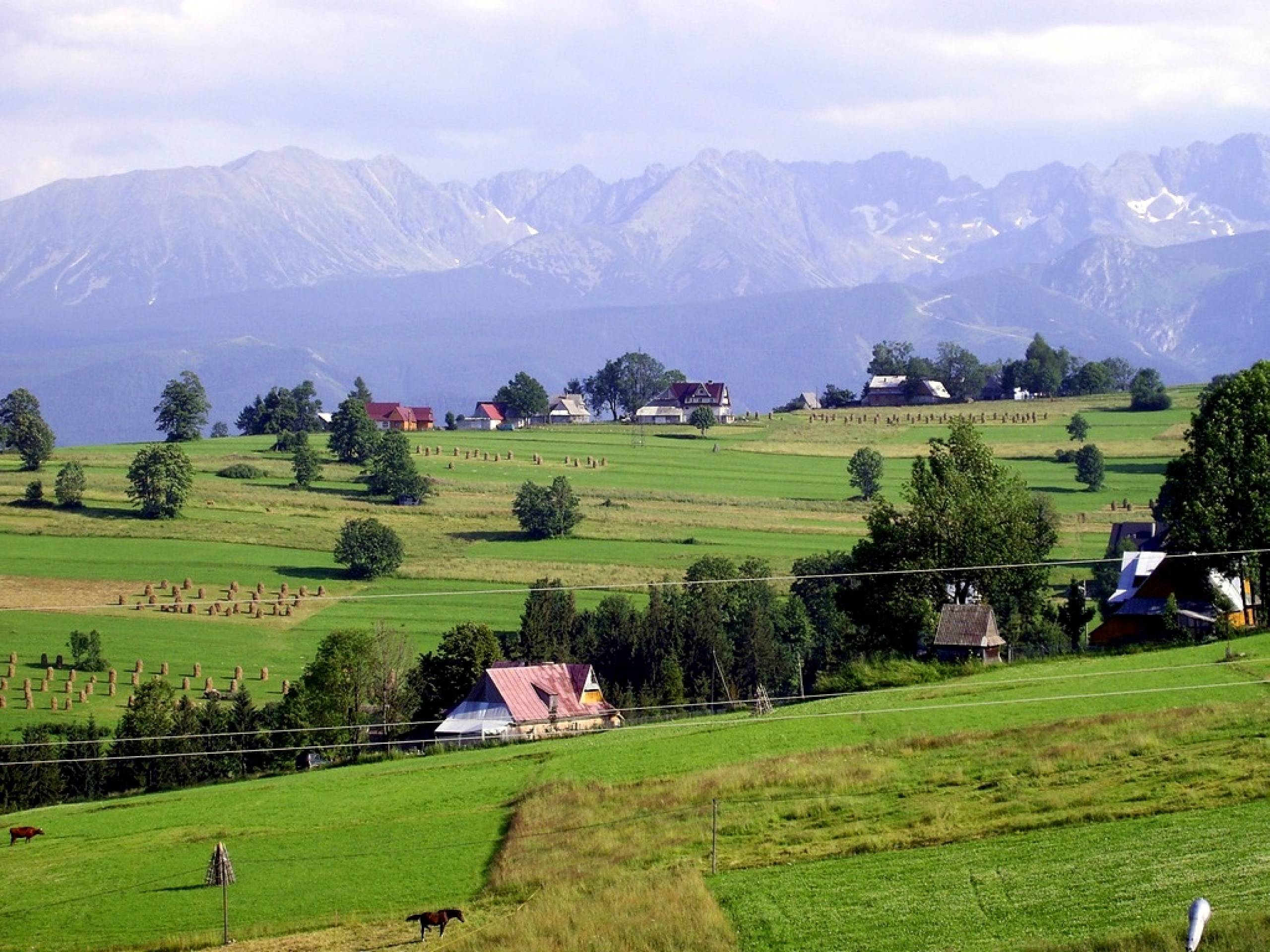 Dodaj opinie o miejscowości: Ząb » Małopolska » Polska