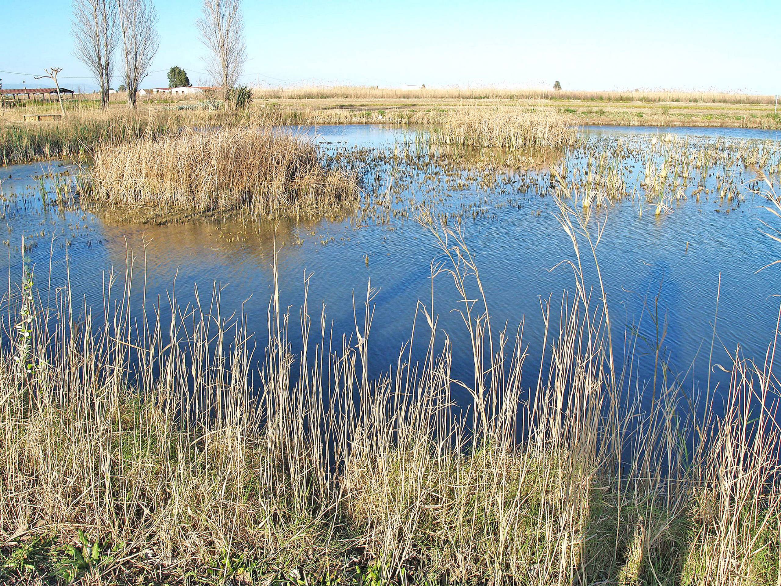 Deltebre, Costa Brava, Hiszpania, największa baza ofert LAST...
