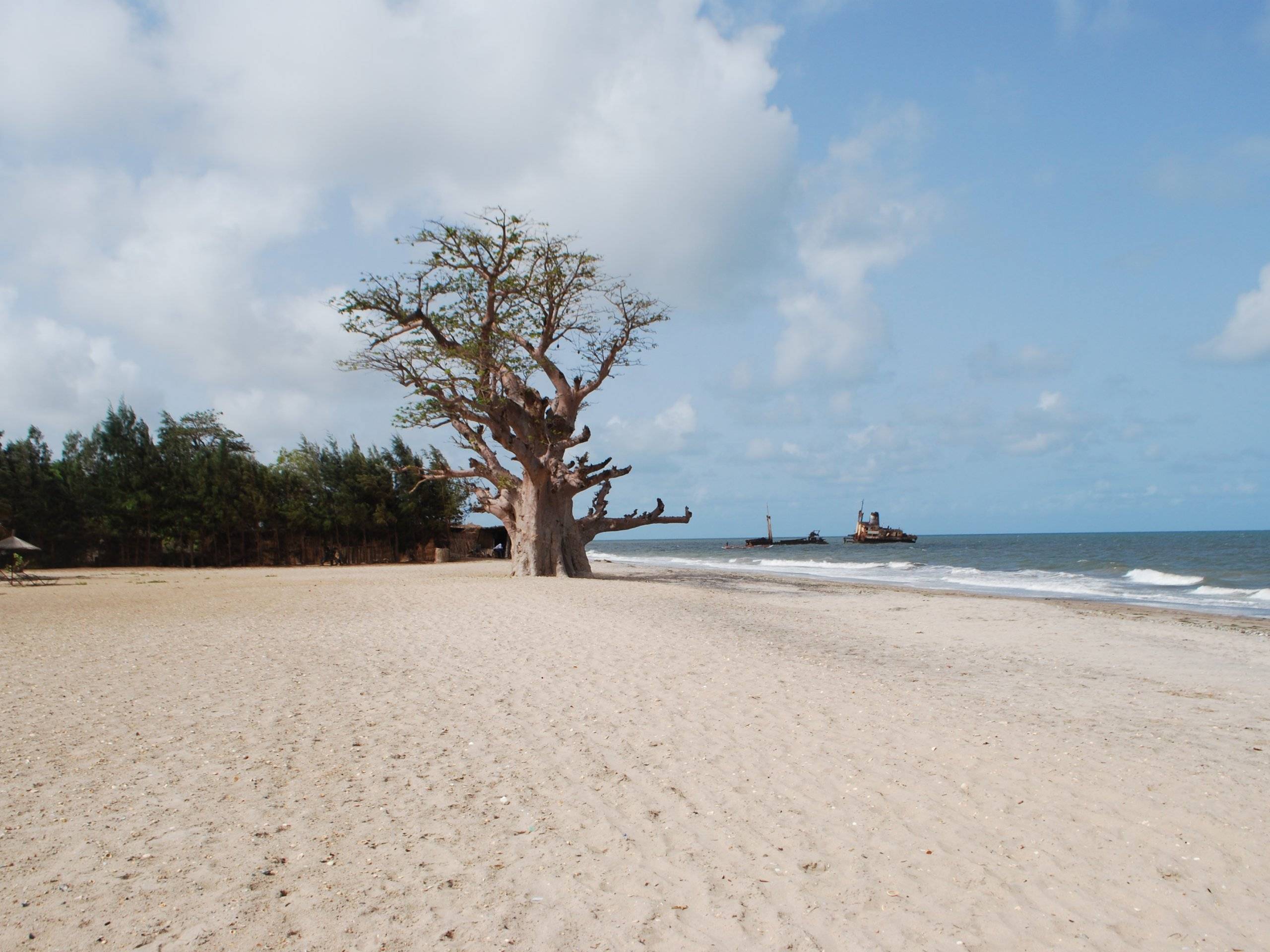 Palmarin, Region Palmarin, Senegal, największa baza ofert LAST...