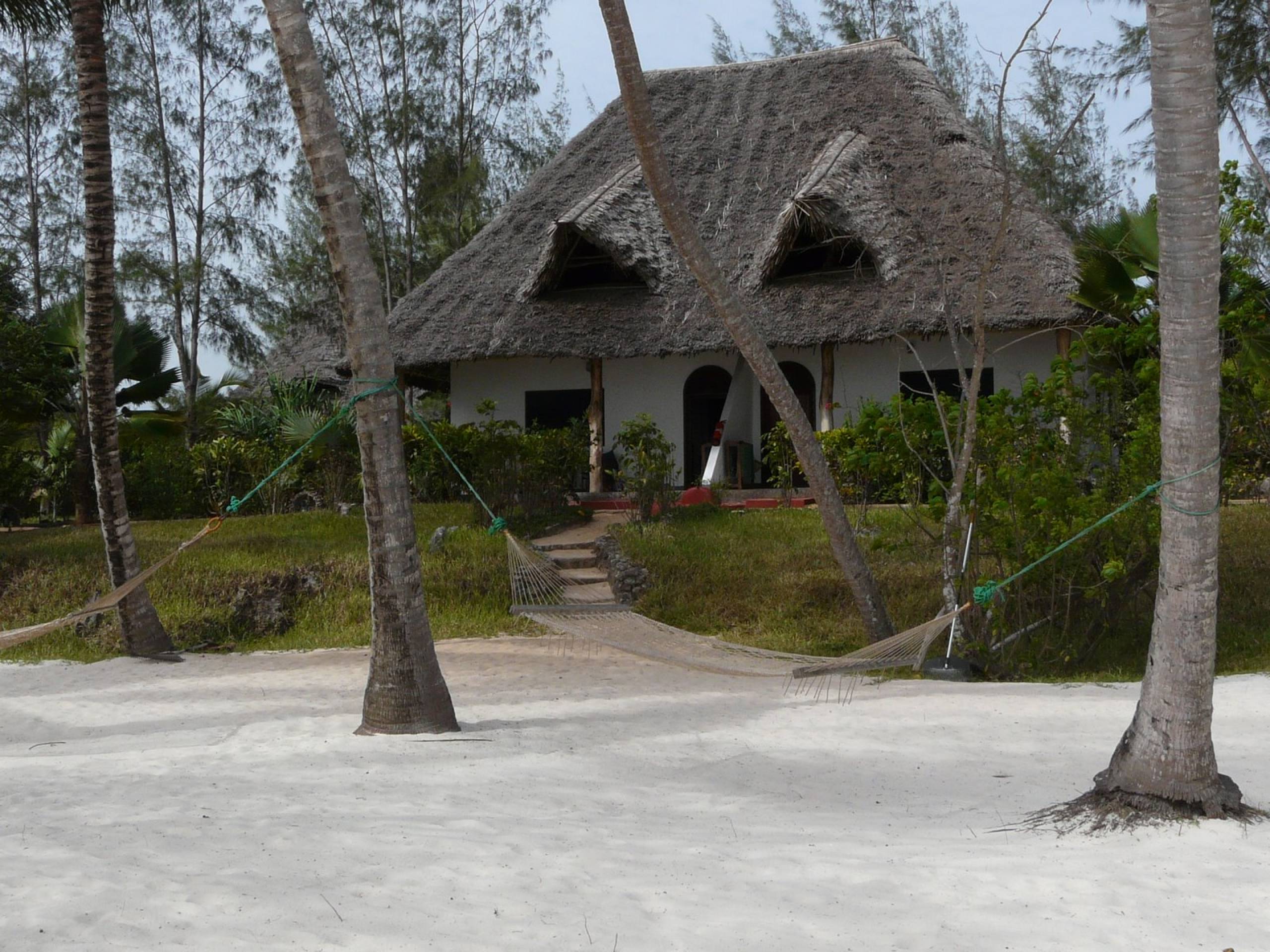 Pongwe, Wyspa Zanzibar, Zanzibar, największa baza ofert LAST...