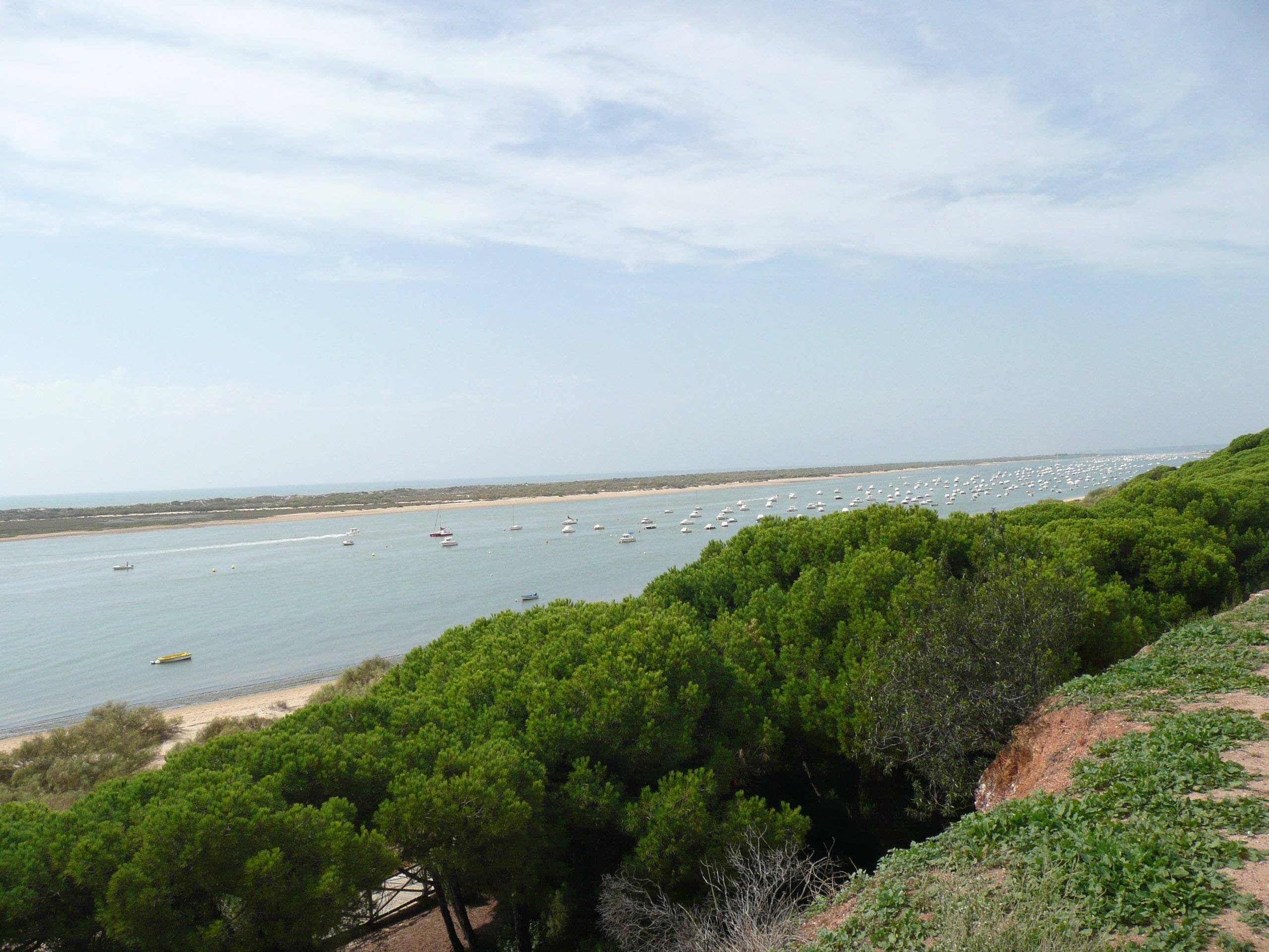 Dodaj opinie o miejscowości: El Portil » Andaluzja » Hiszpania