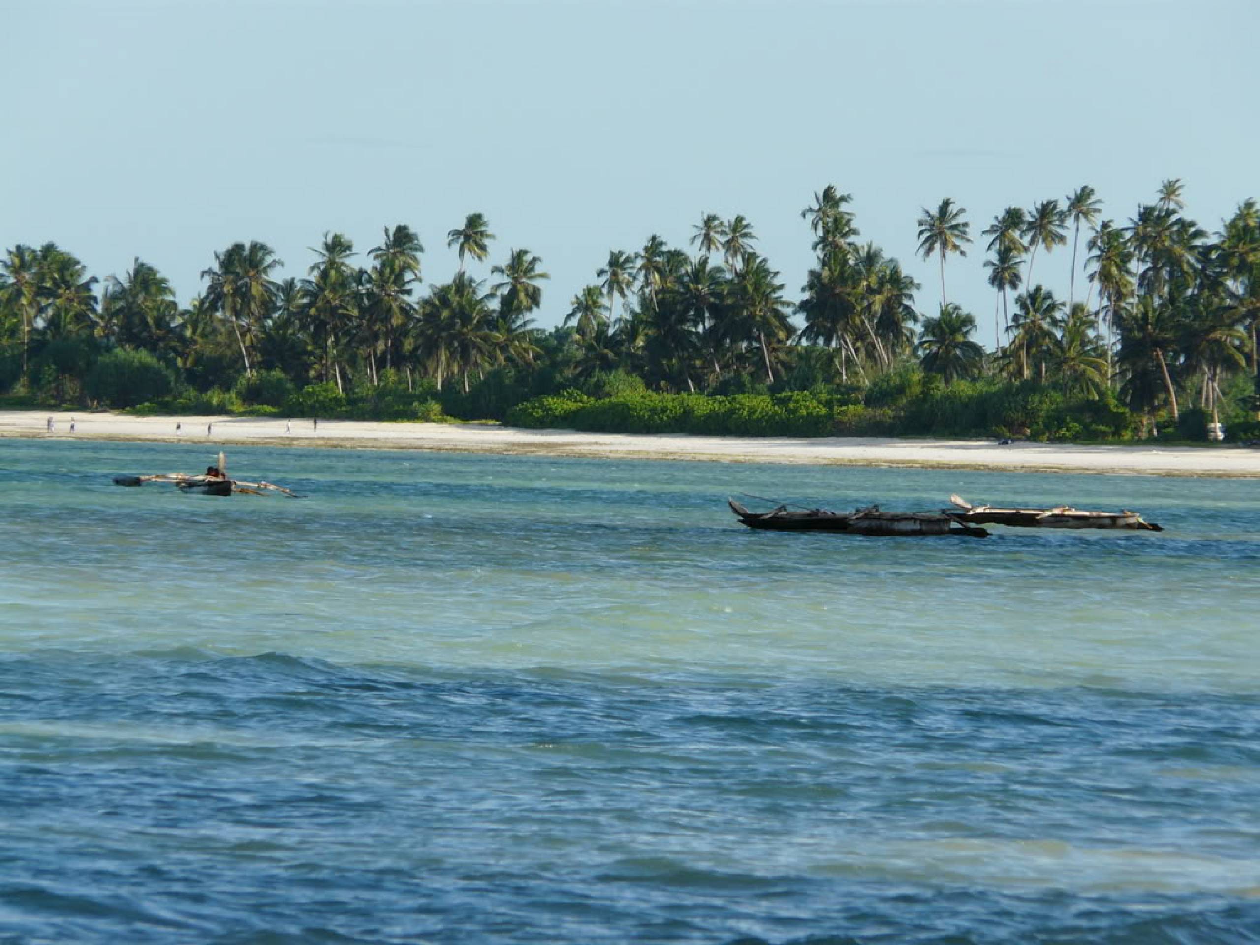 Pongwe, Wyspa Zanzibar, Zanzibar, największa baza ofert LAST...
