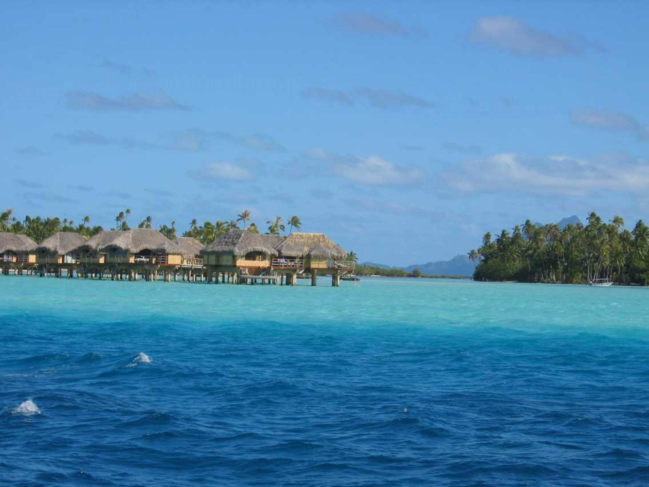 Tahaa, Polinezja Francuska, Oceania, największa baza ofert...