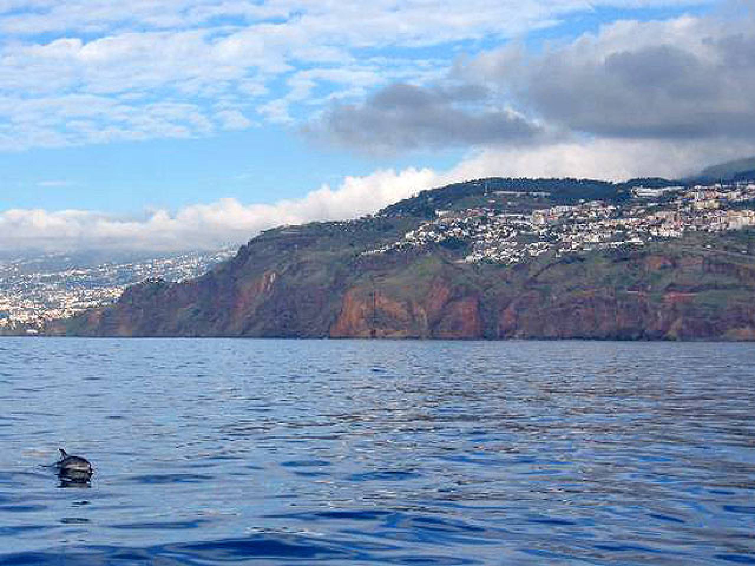 Canico, Wyspa Madera, Portugalia, największa baza ofert LAST...