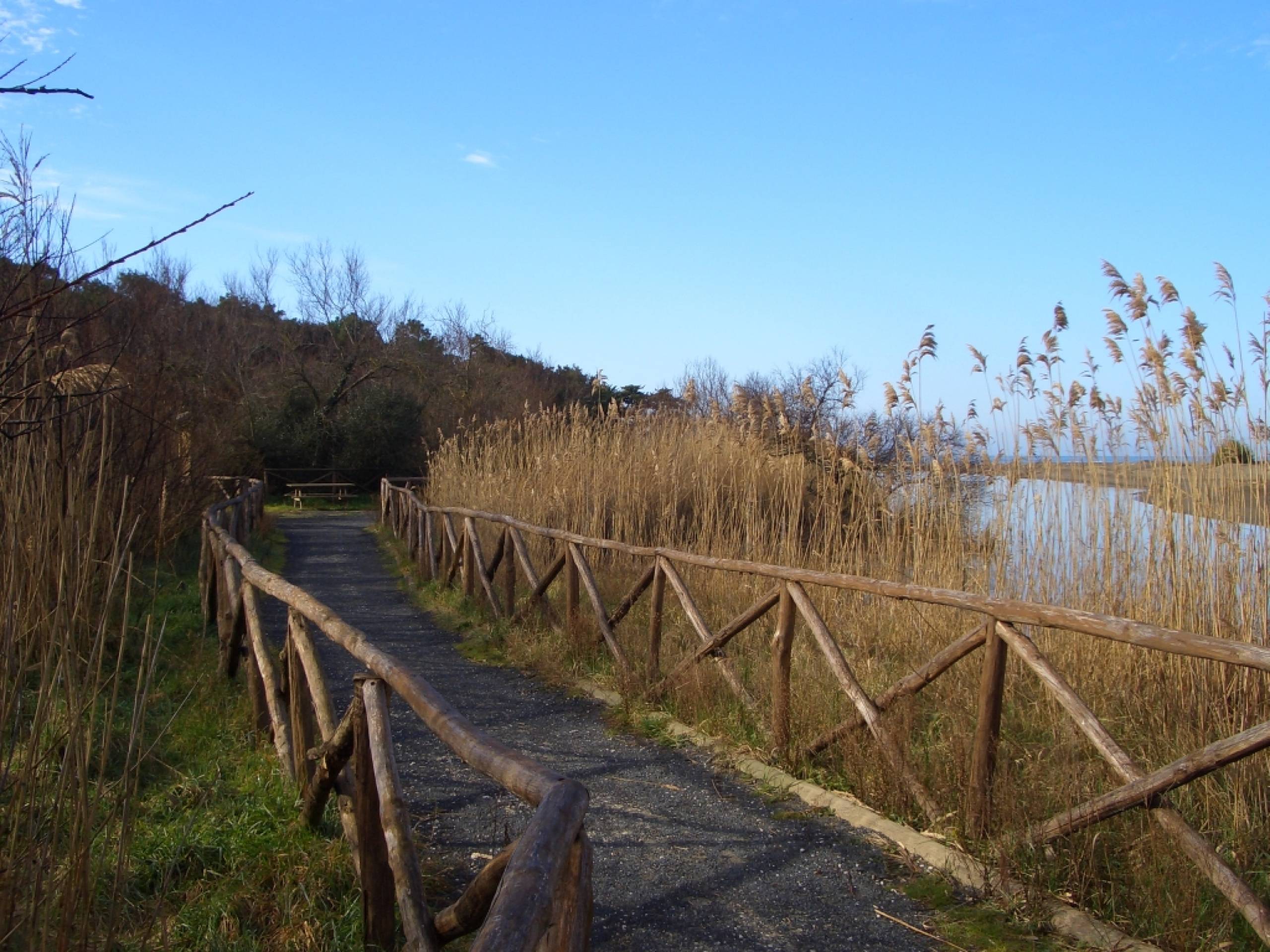 Dodaj opinie o miejscowości: Donoratico » Toskania » Włochy