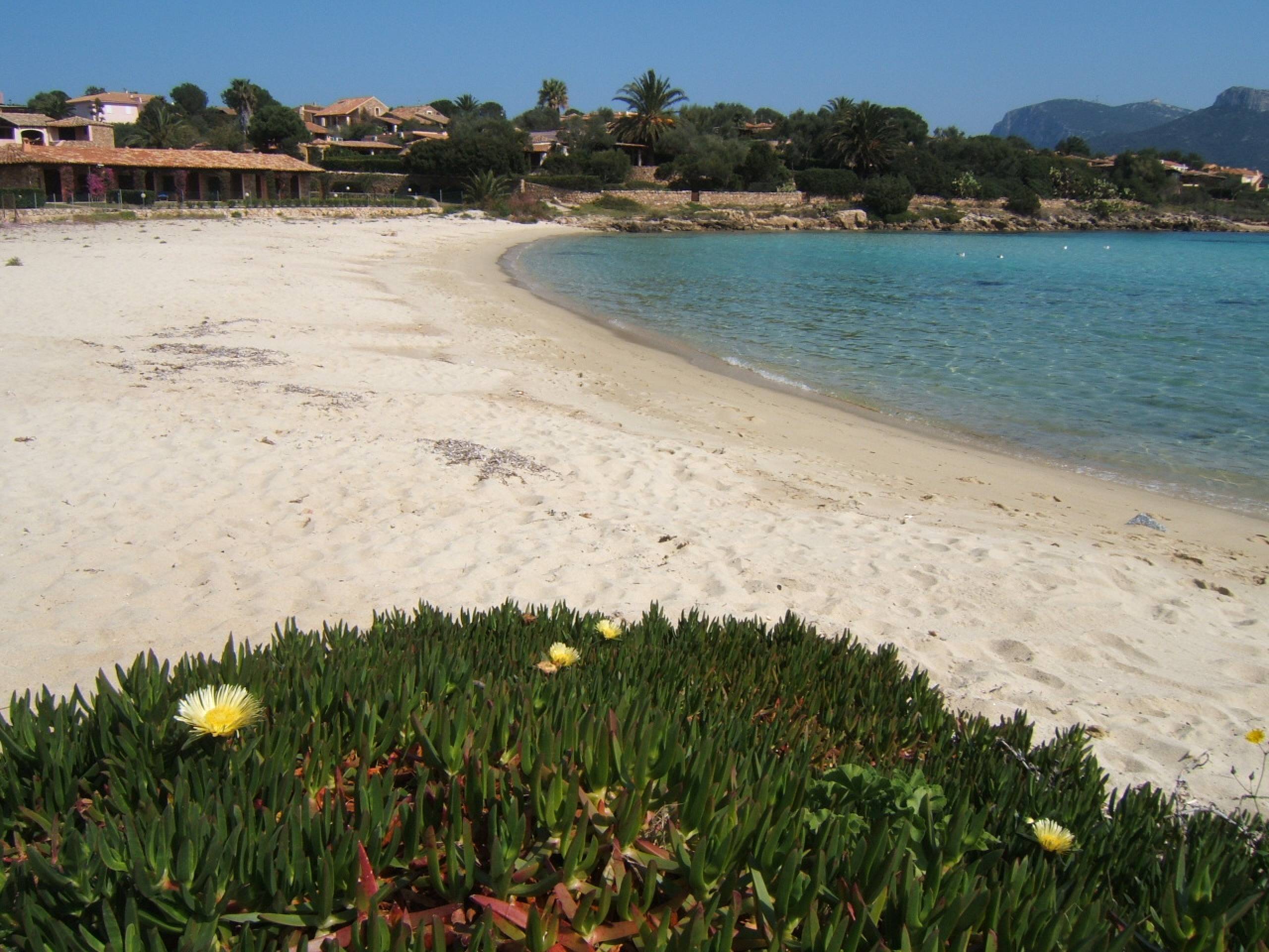 Dodaj opinie o miejscowości: Golfo Aranci » Wyspa Sardynia