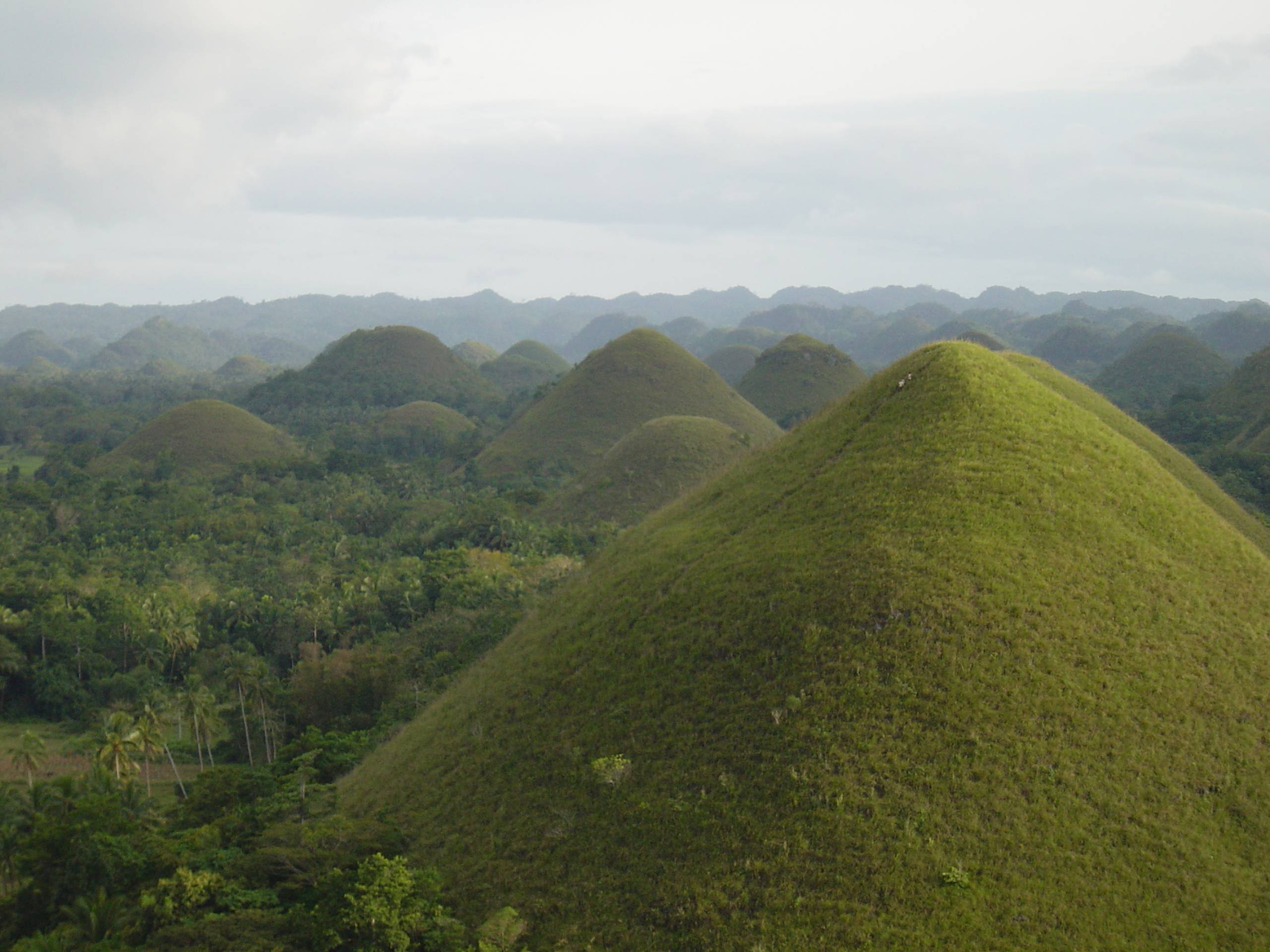 Dodaj opinie o miejscowości: Bohol » Wyspa Bohol » Filipiny