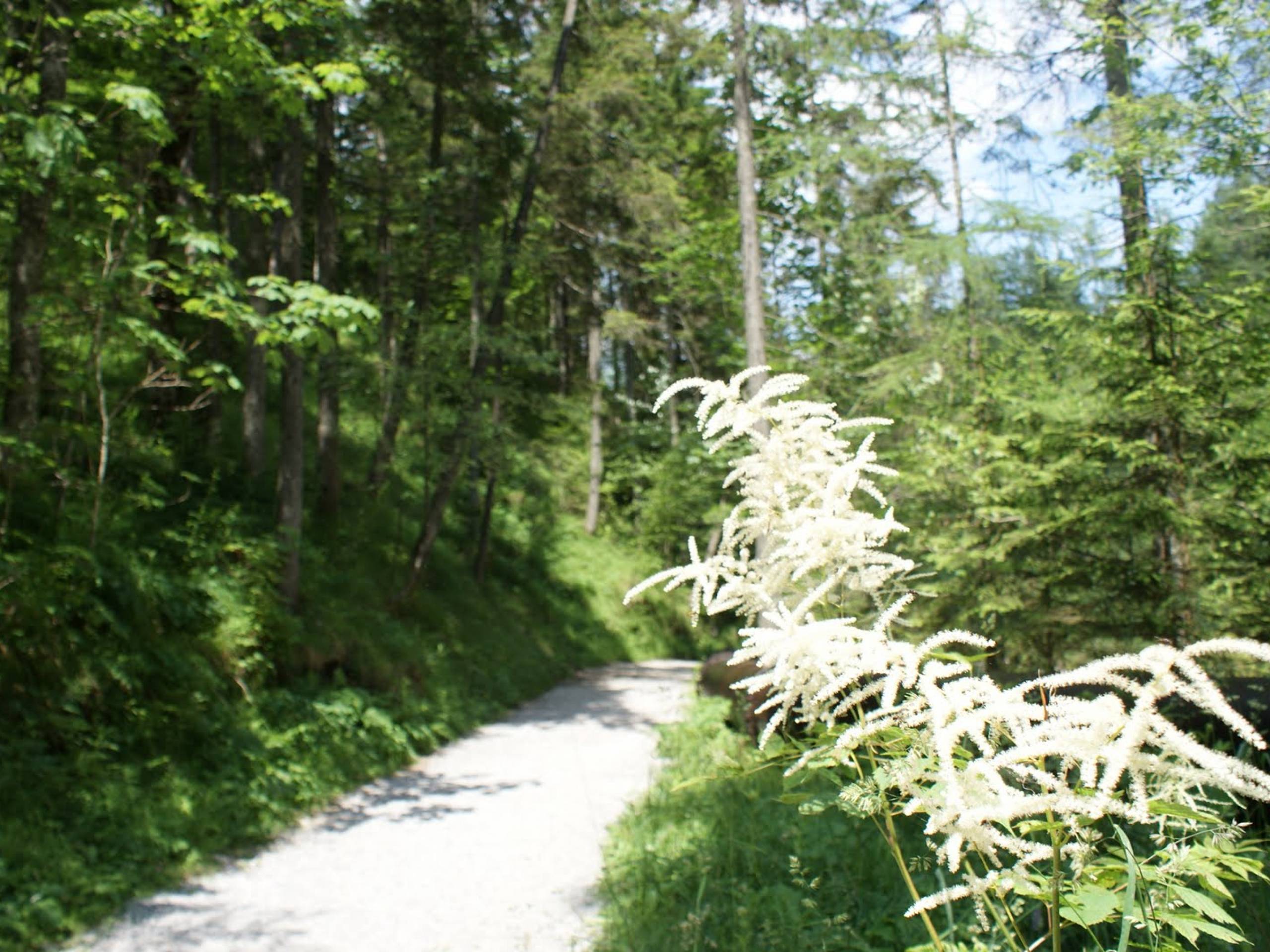 Rossleithen, Górna Austria, Austria, największa baza ofert...