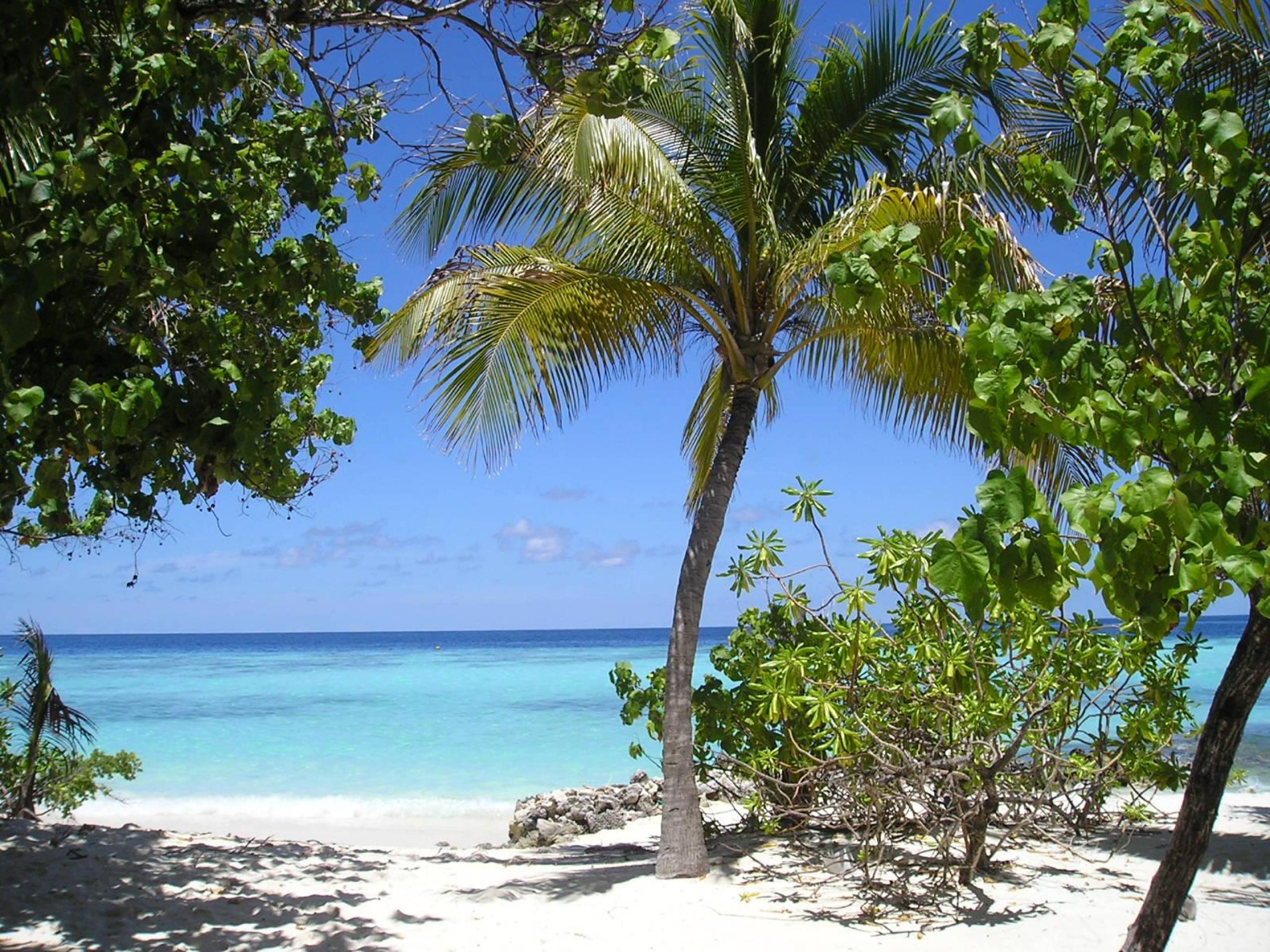 Noonu Atoll, Atole, Malediwy, największa baza ofert LAST...
