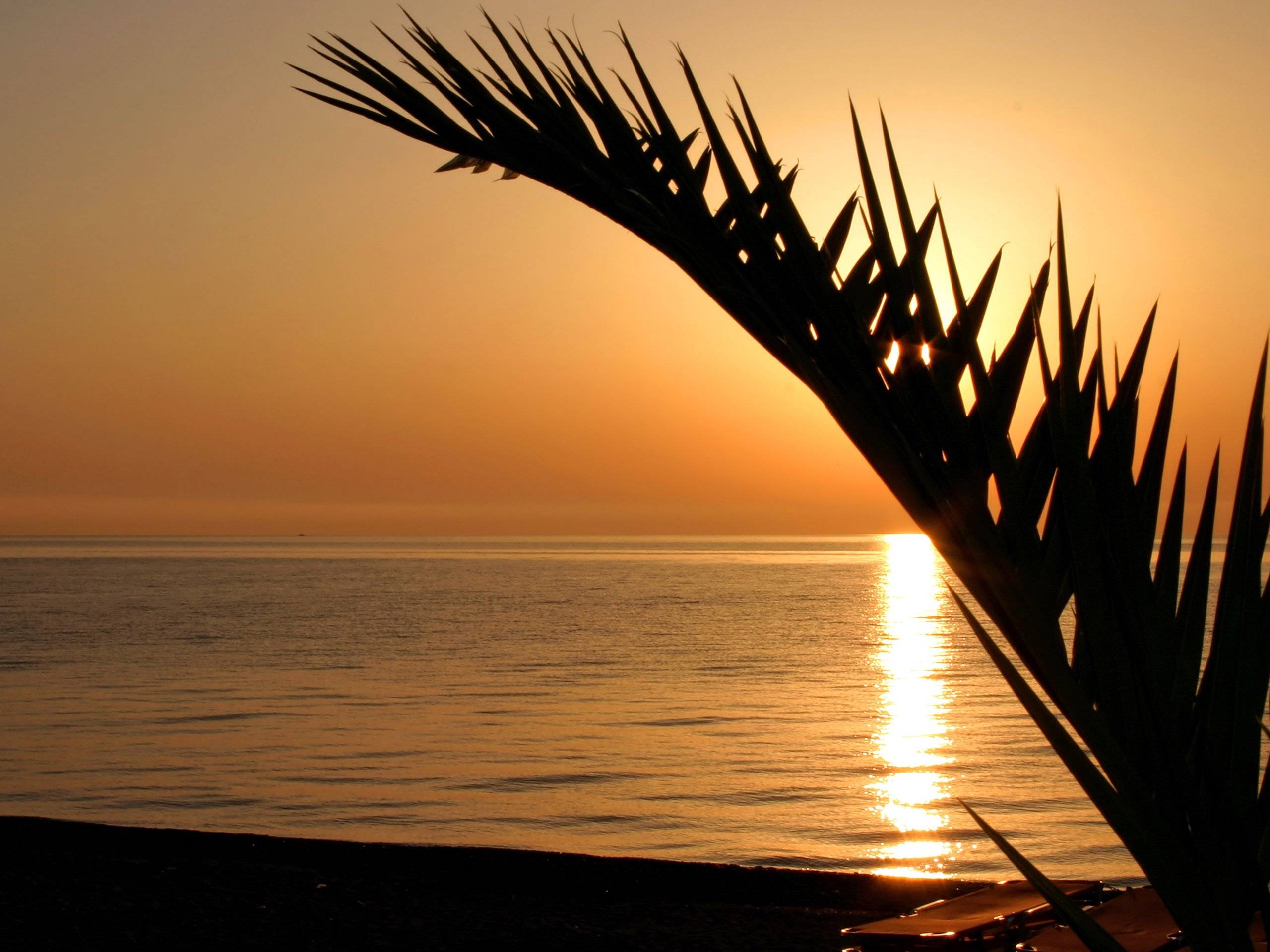 Leptokaria, Chalkidiki, Grecja, największa baza ofert LAST...