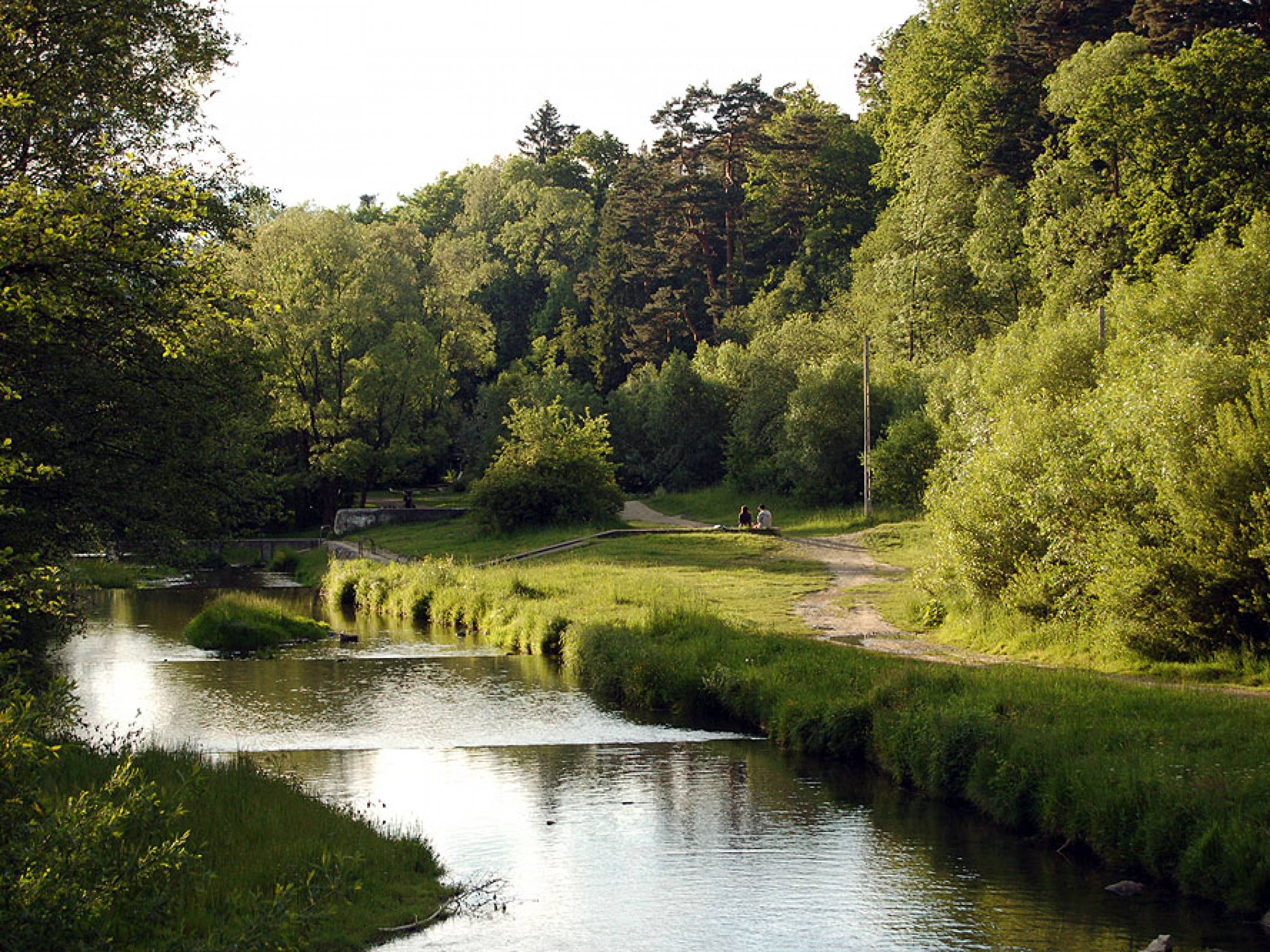 Dodaj opinie o miejscowości: Rabka Zdrój » Małopolska » Polska