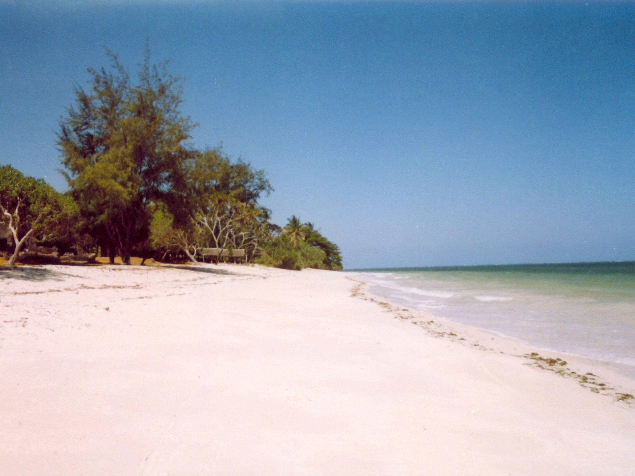 Shanzu Beach, Wybrzeże Kenii, Kenia, największa baza ofert...