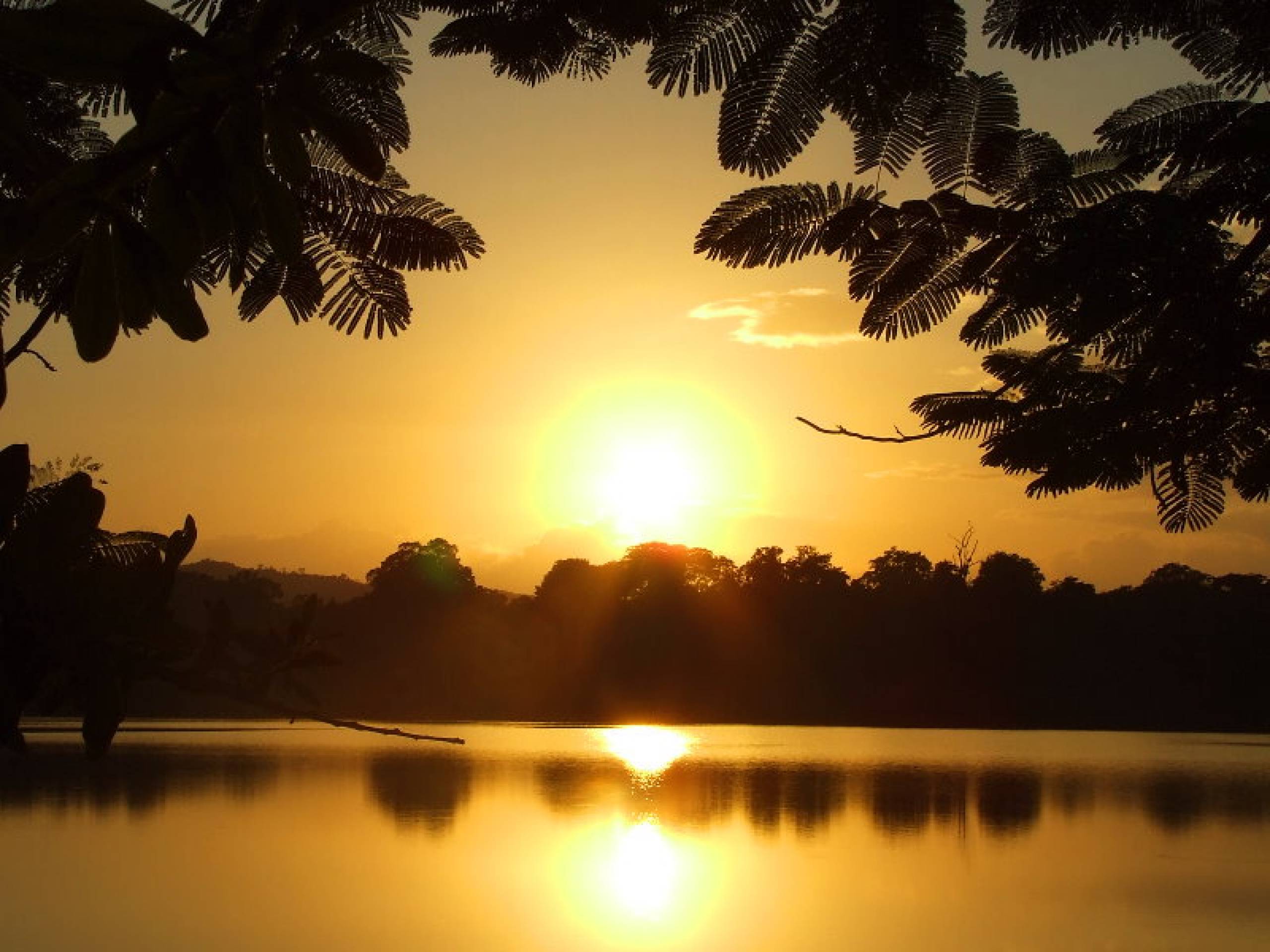 Tical, Departament El Peten, Gwatemala, największa baza ofert...