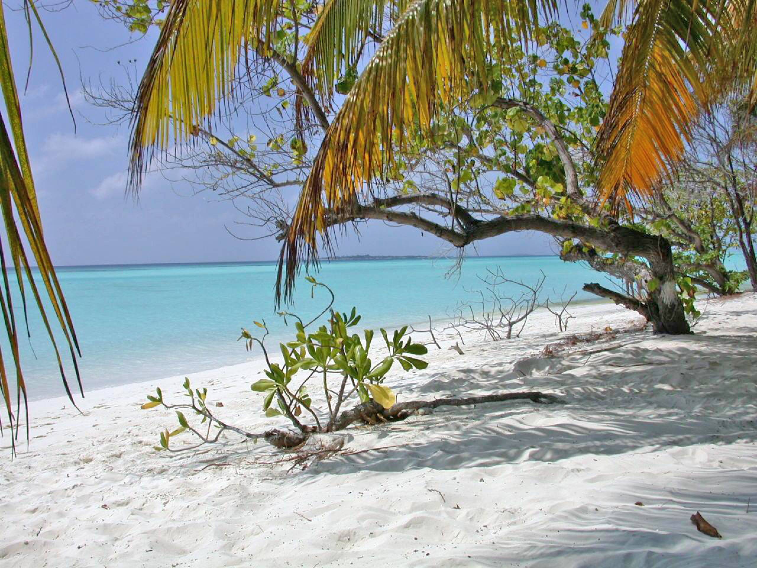 Malediwy, największa baza ofert LAST MINUTE. Wycieczki last...