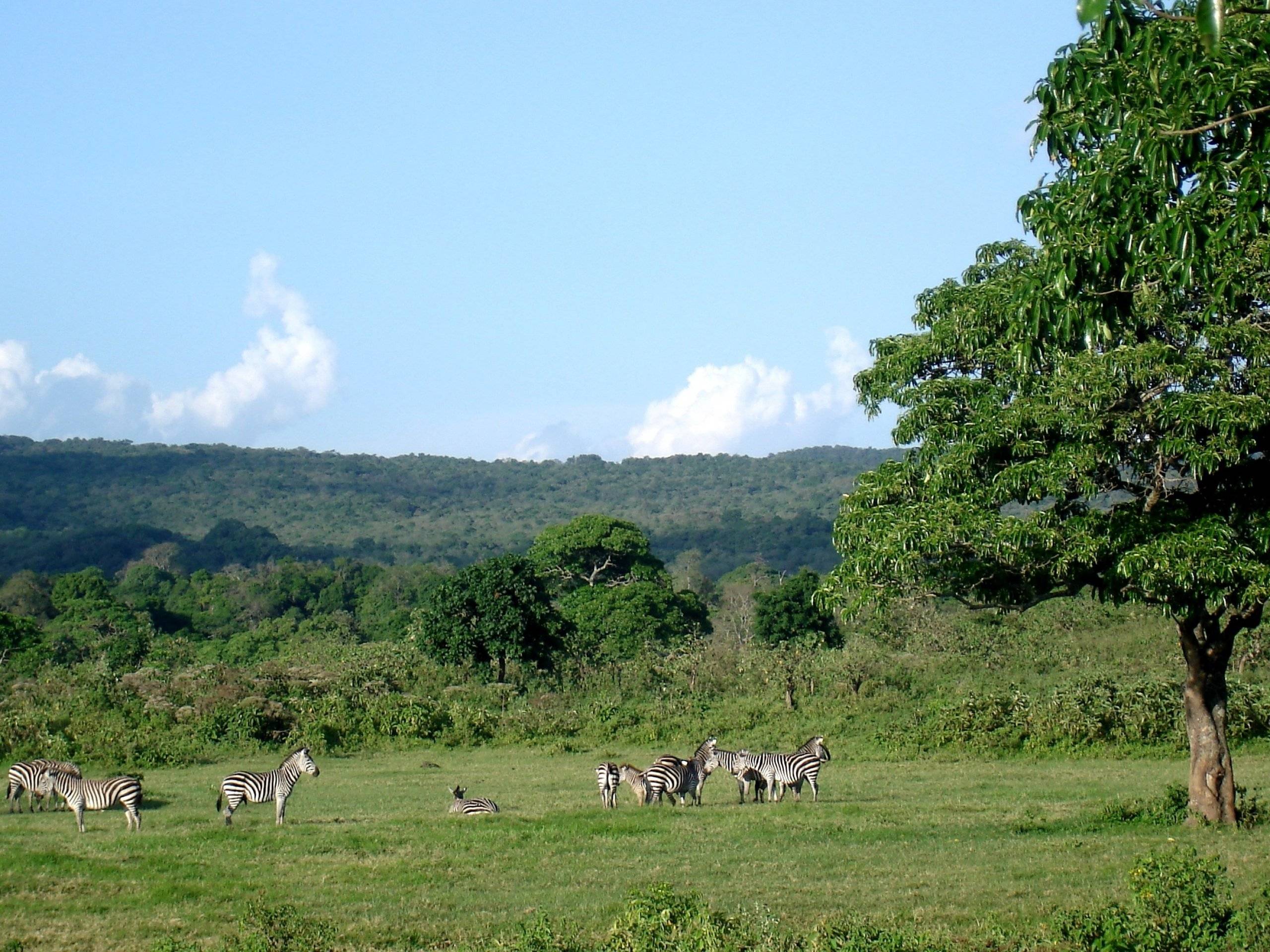 Region Arusha, Tanzania, największa baza ofert LAST MINUTE....