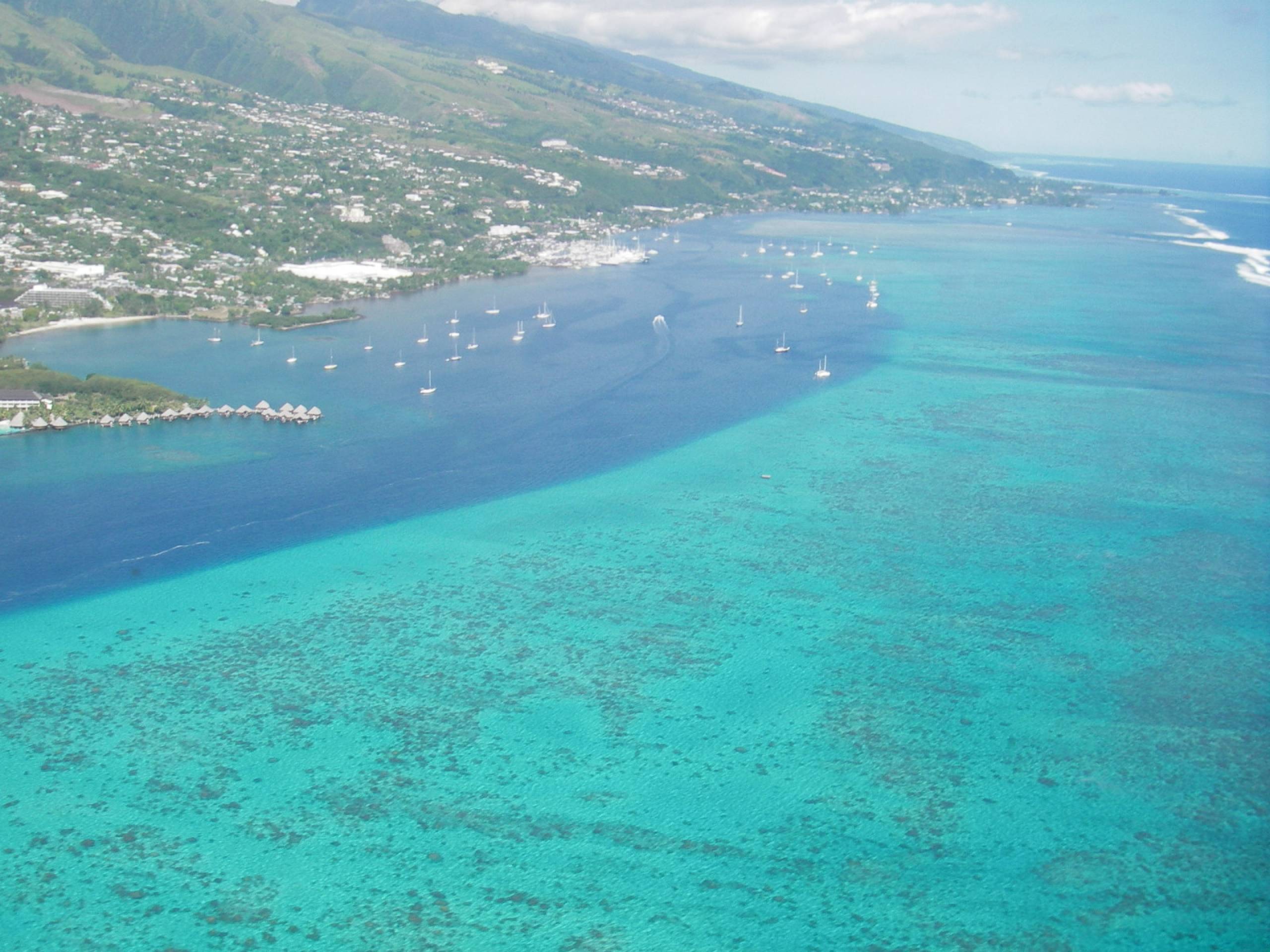 Polinezja Francuska, Oceania, największa baza ofert LAST...