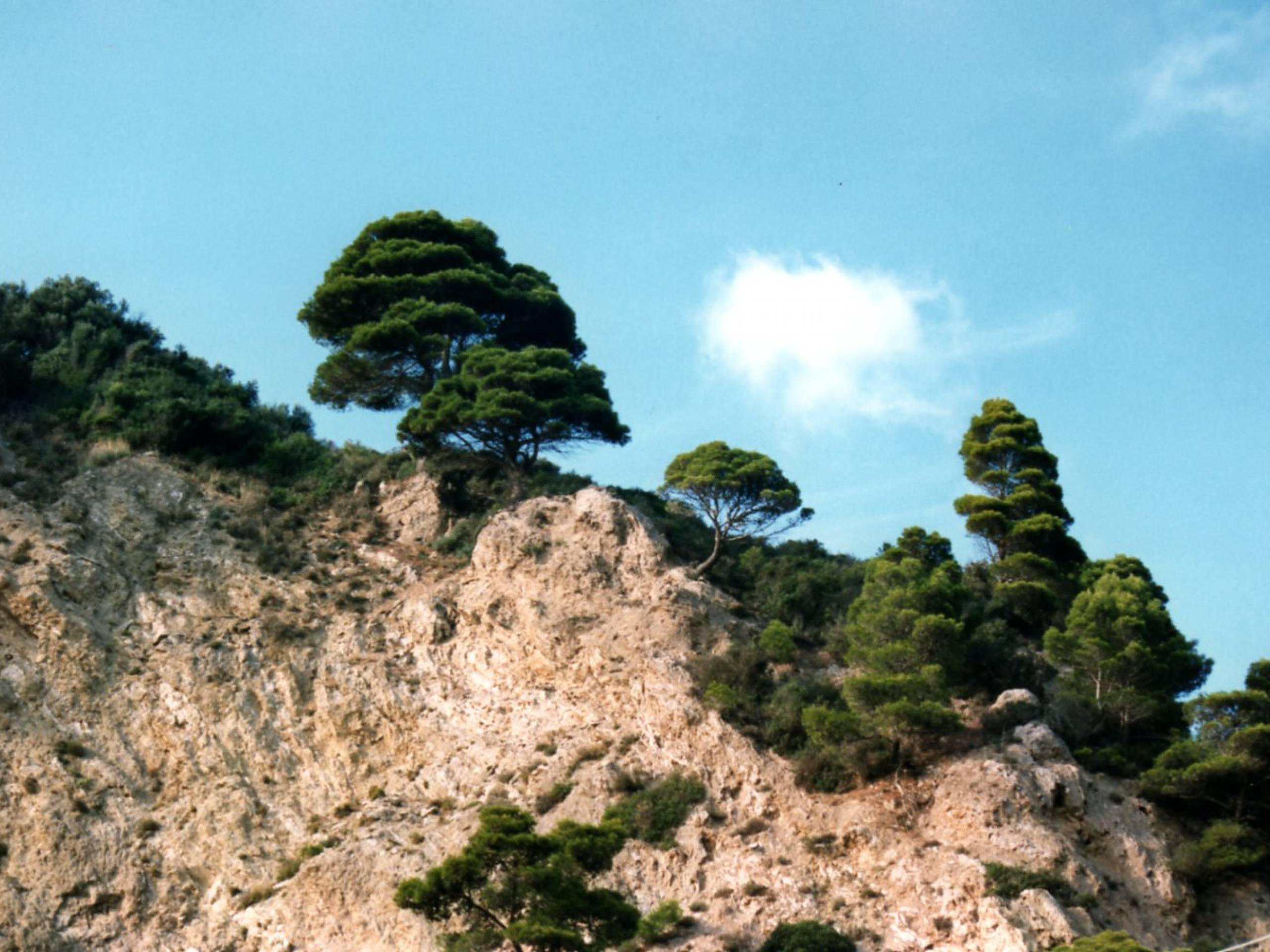 Attyka, Grecja, największa baza ofert LAST MINUTE. Wycieczki...
